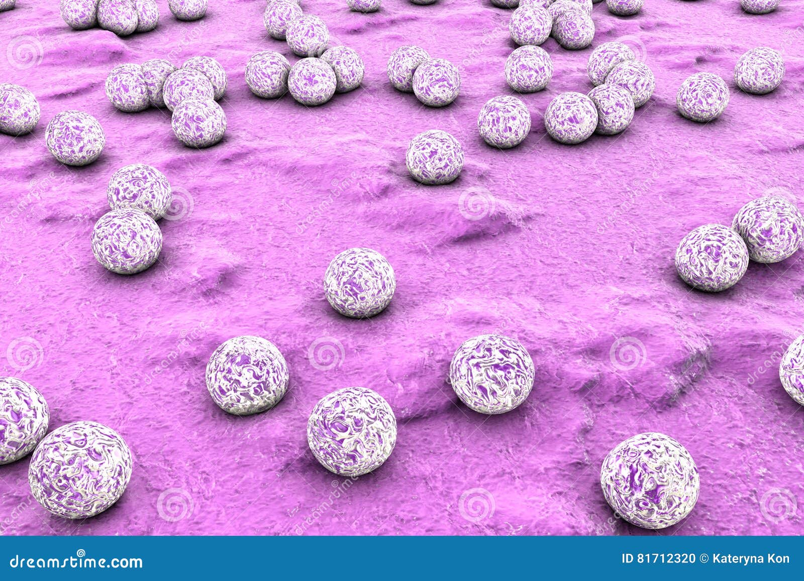 Staphylocoques Sur La Surface De La Peau Illustration Stock ...