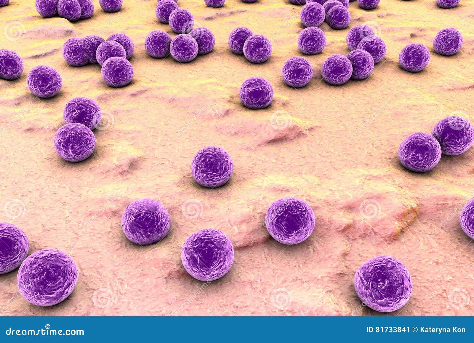 Staphylocoques Sur La Surface De La Peau Illustration Stock ...