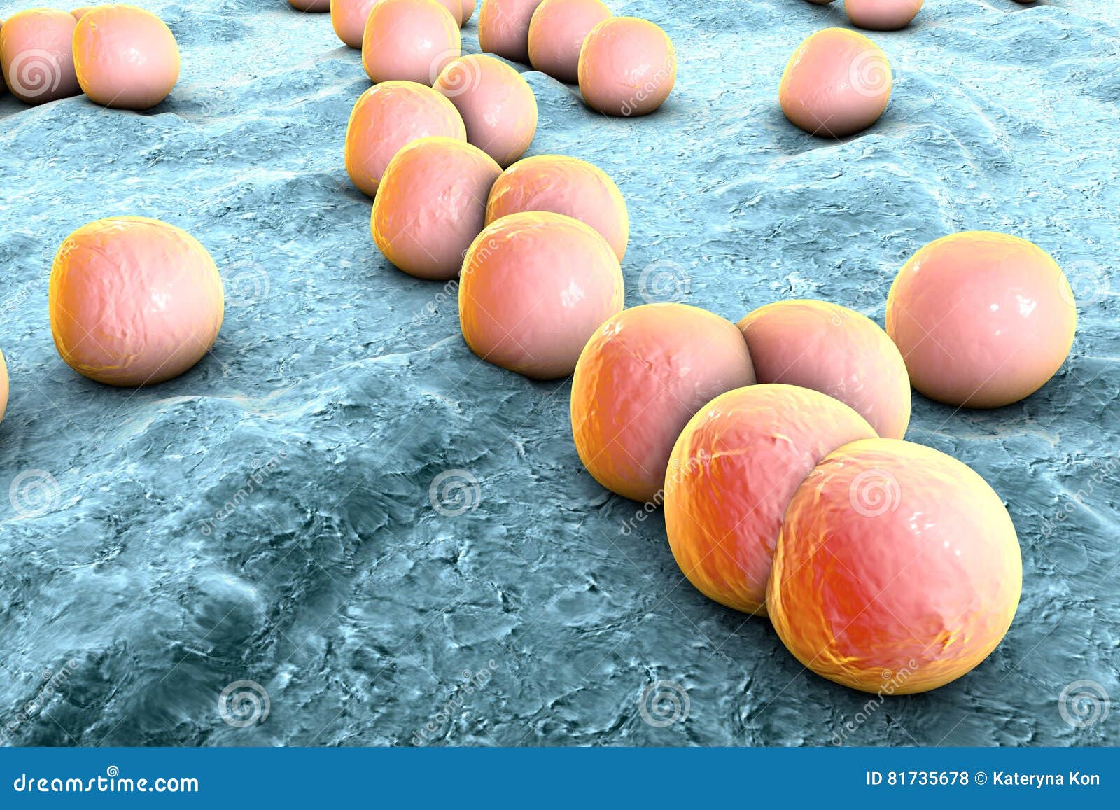 Staphylocoques Sur La Surface De La Peau Illustration Stock ...