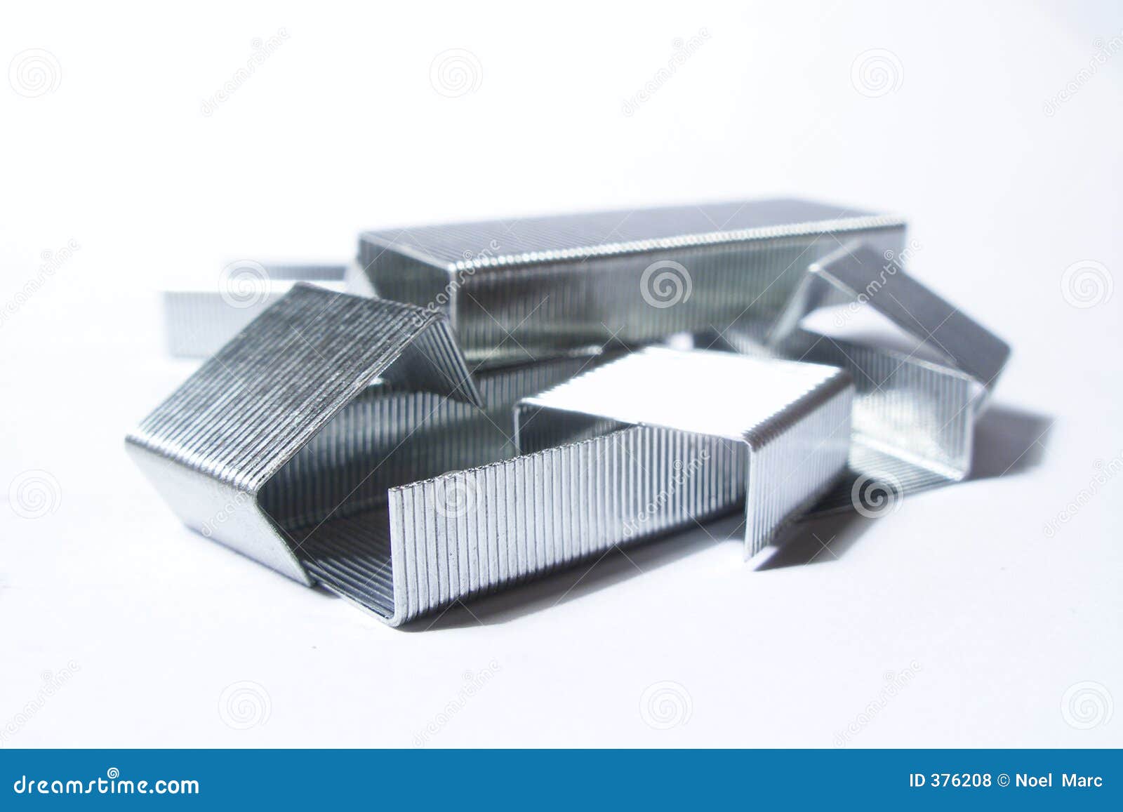 Staple stock photo. Image of hold, steel, hang, clip, paper - 376208
