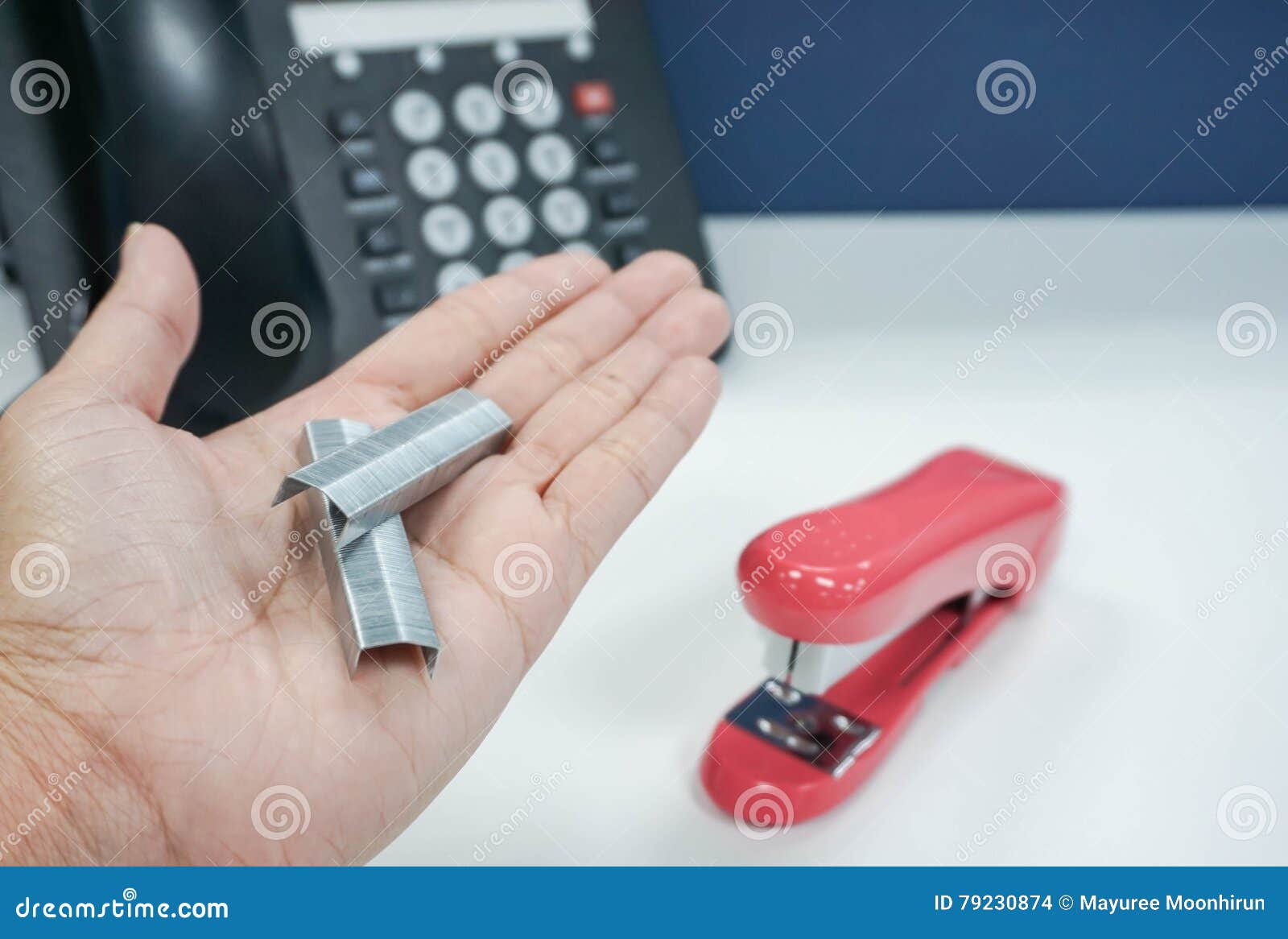Staple on Woman Left Hand with Stapler Stock Photo - Image of home ...