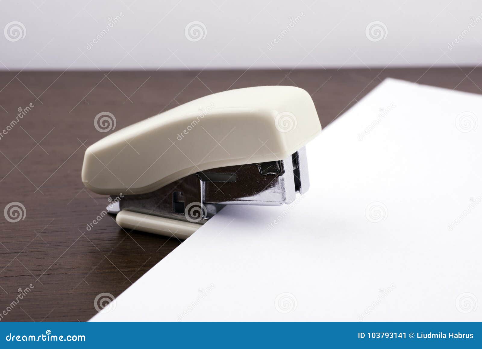 Stapler for Binding Sheets of Paper Closeup Stock Image - Image of ...