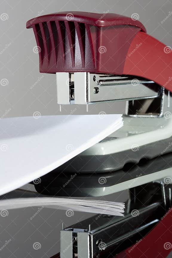 Stapler with documents stock photo. Image of paperwork - 21185402