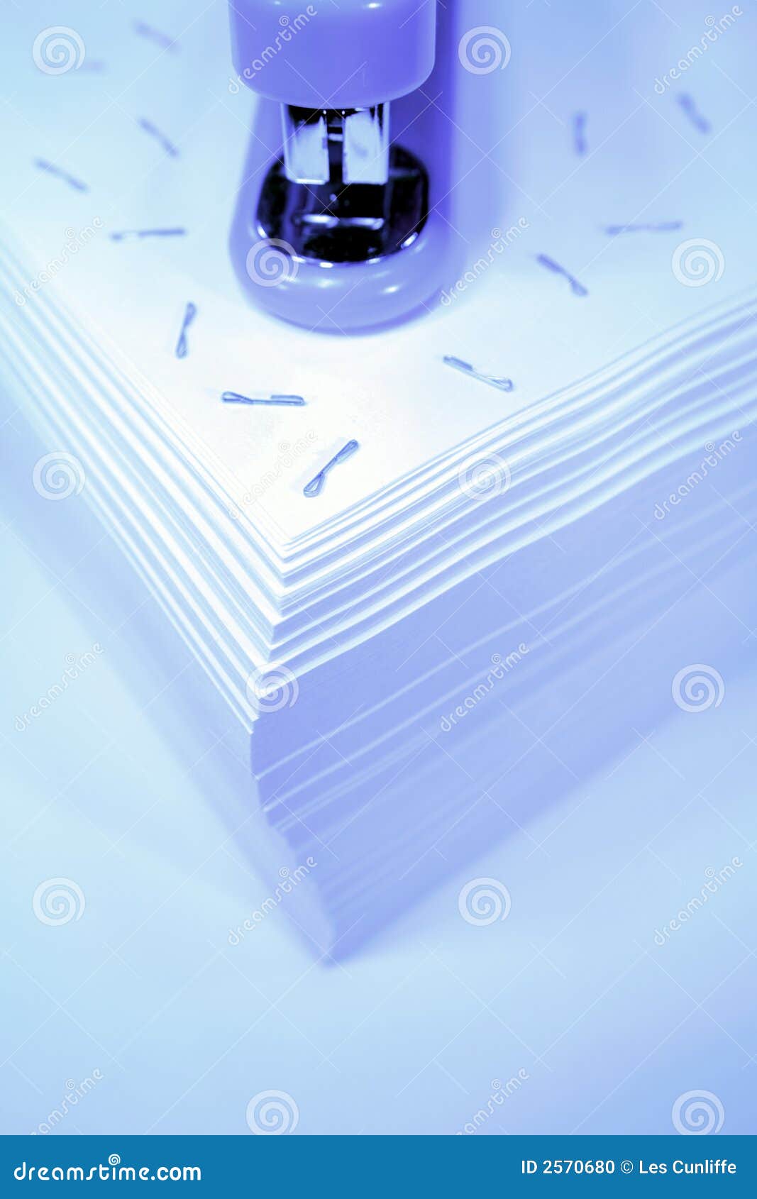 Stapler on paper stock photo. Image of arranged, heaps - 2570680