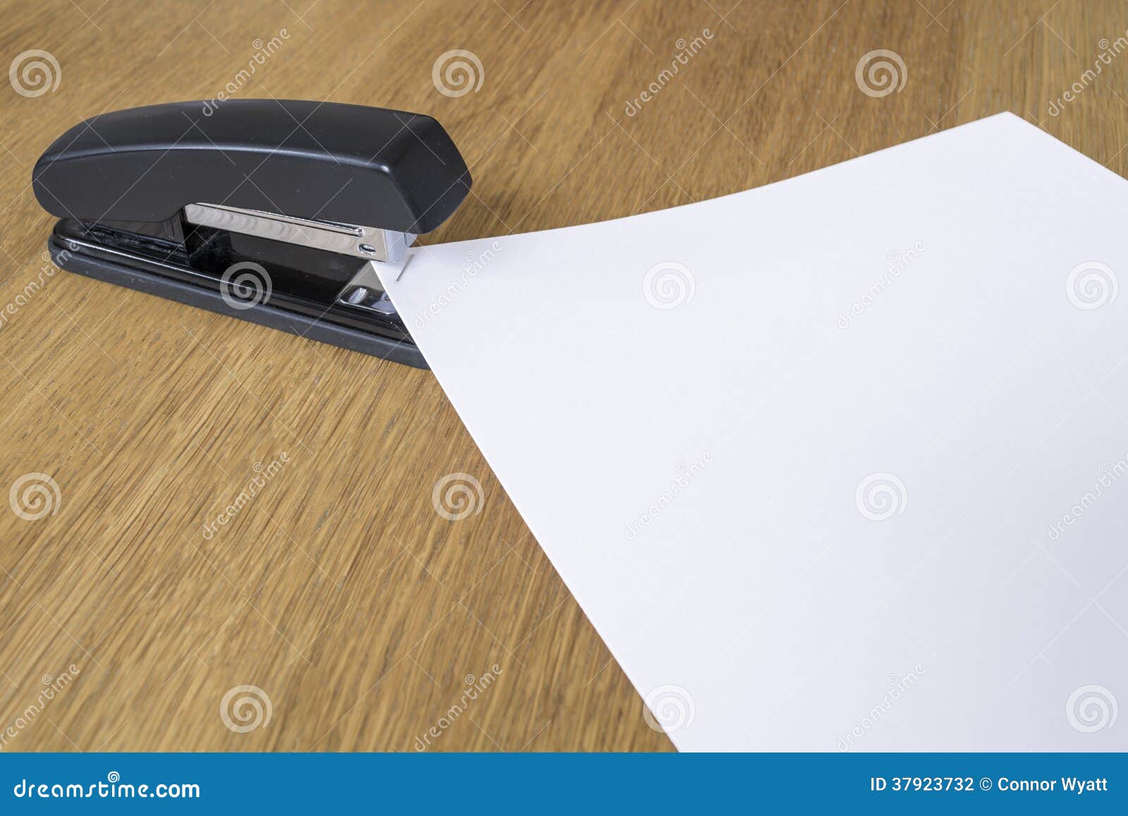 Stapler and Staple stock photo. Image of table, objects - 37923732