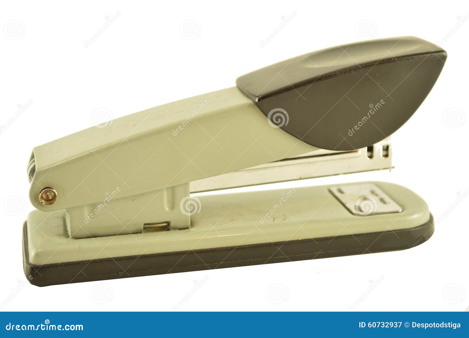 Staples in close-up stock image. Image of organization - 60732937