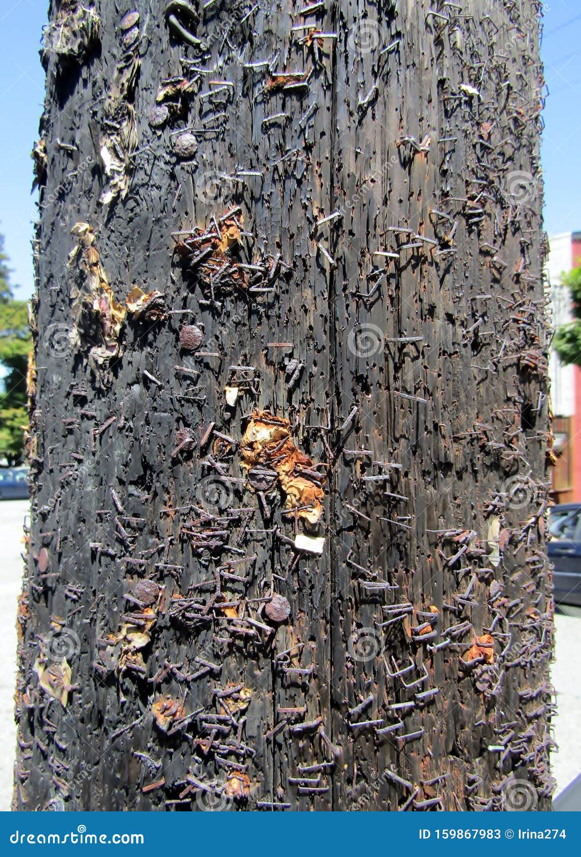 Staples Marks on Wooden Pole Stock Image - Image of aged, scars: 159867983