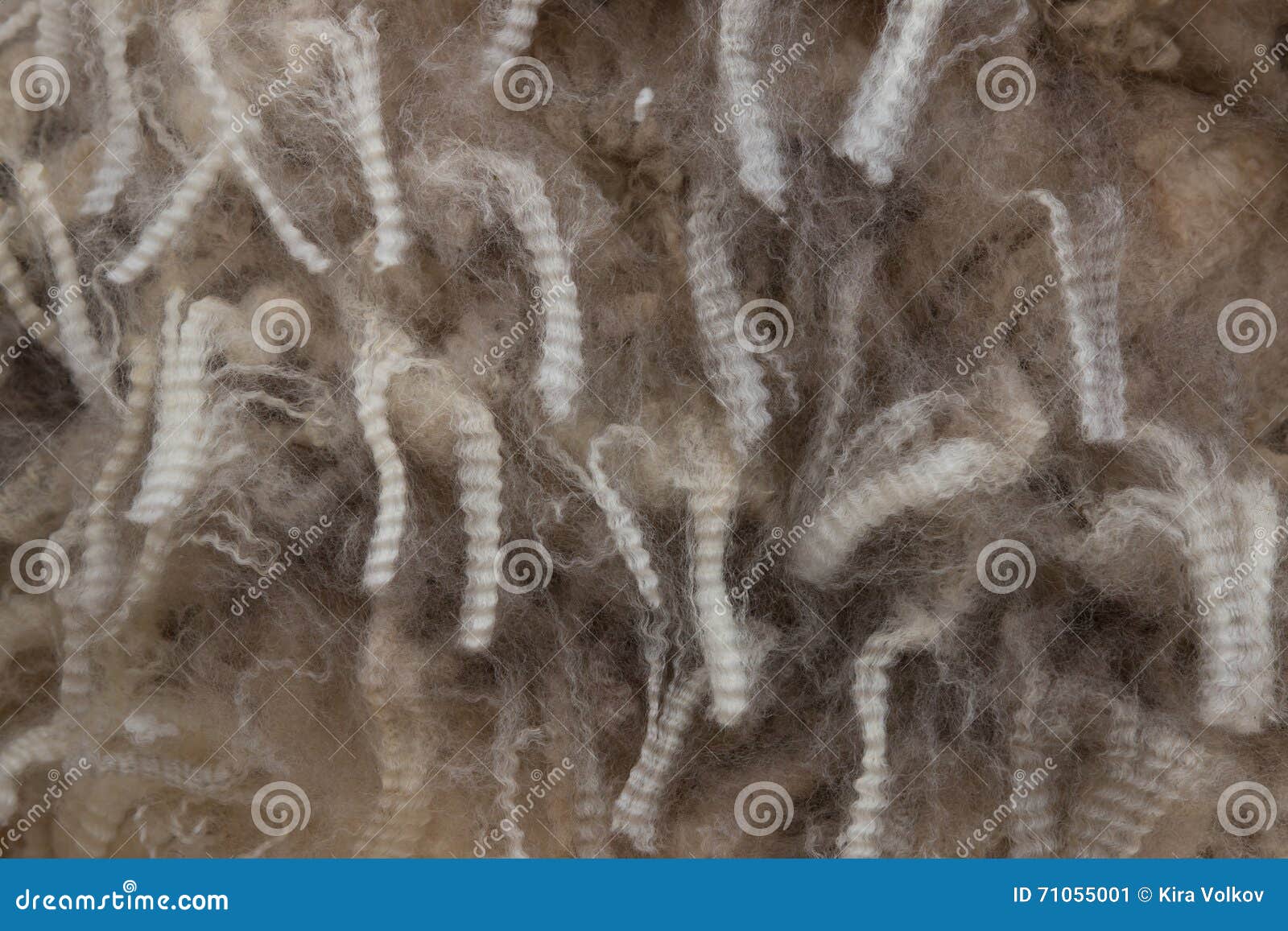 Staples of Unprocessed Fine Merino Wool Stock Image - Image of industry ...