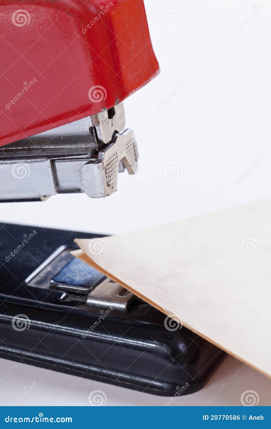 Stapling papers stock photo. Image of work, equipment - 20770586