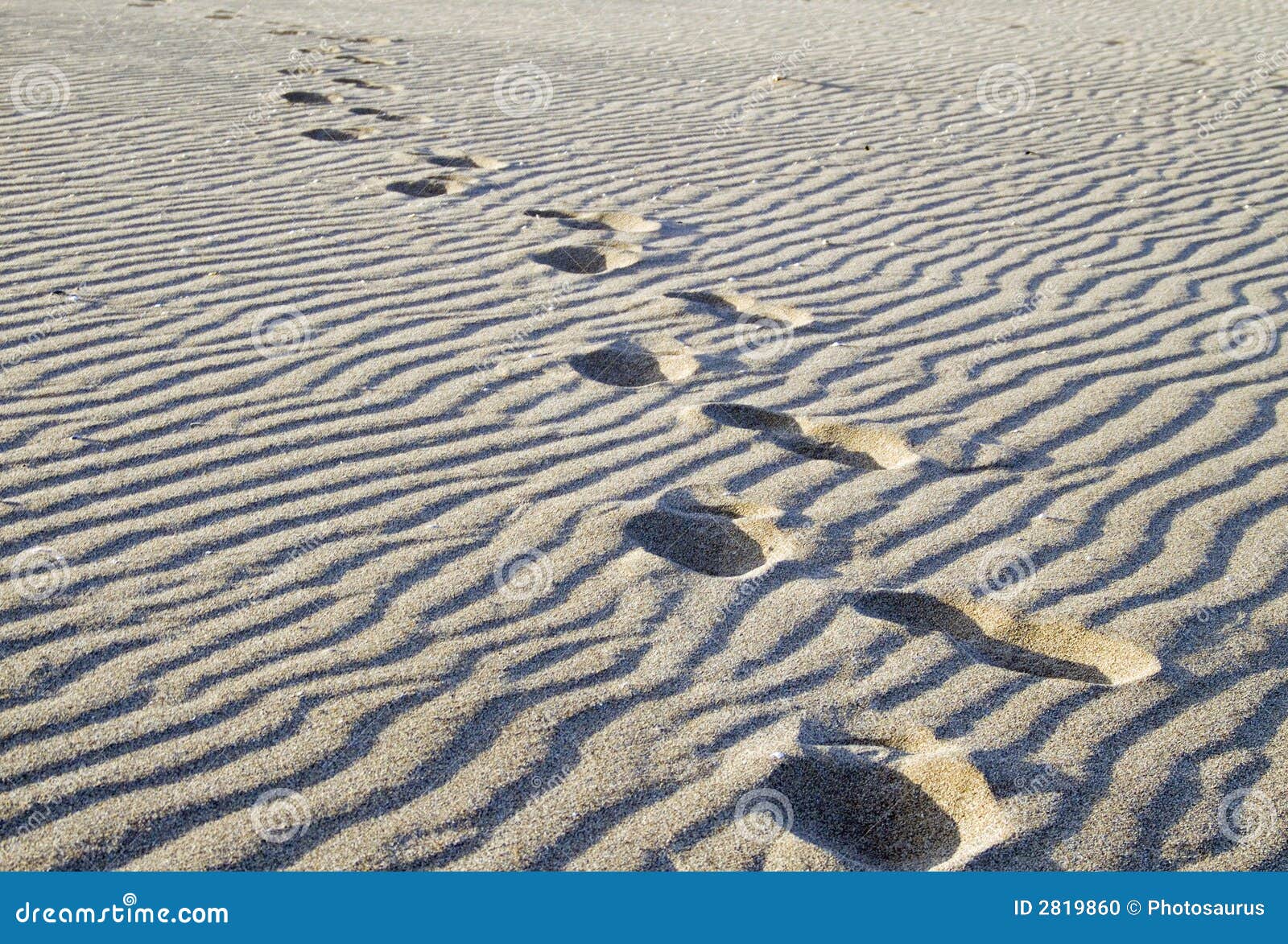 Stappen In Het Zand Stock Foto - Afbeelding: 2819860