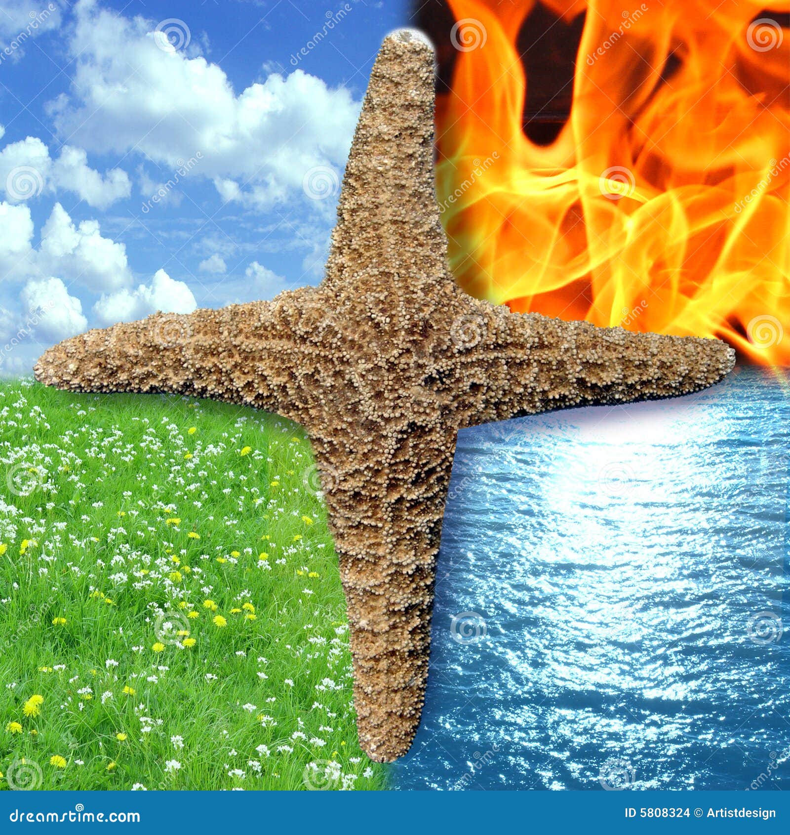 Star of 4 Elements square stock photo. Image of four, wave - 5808324