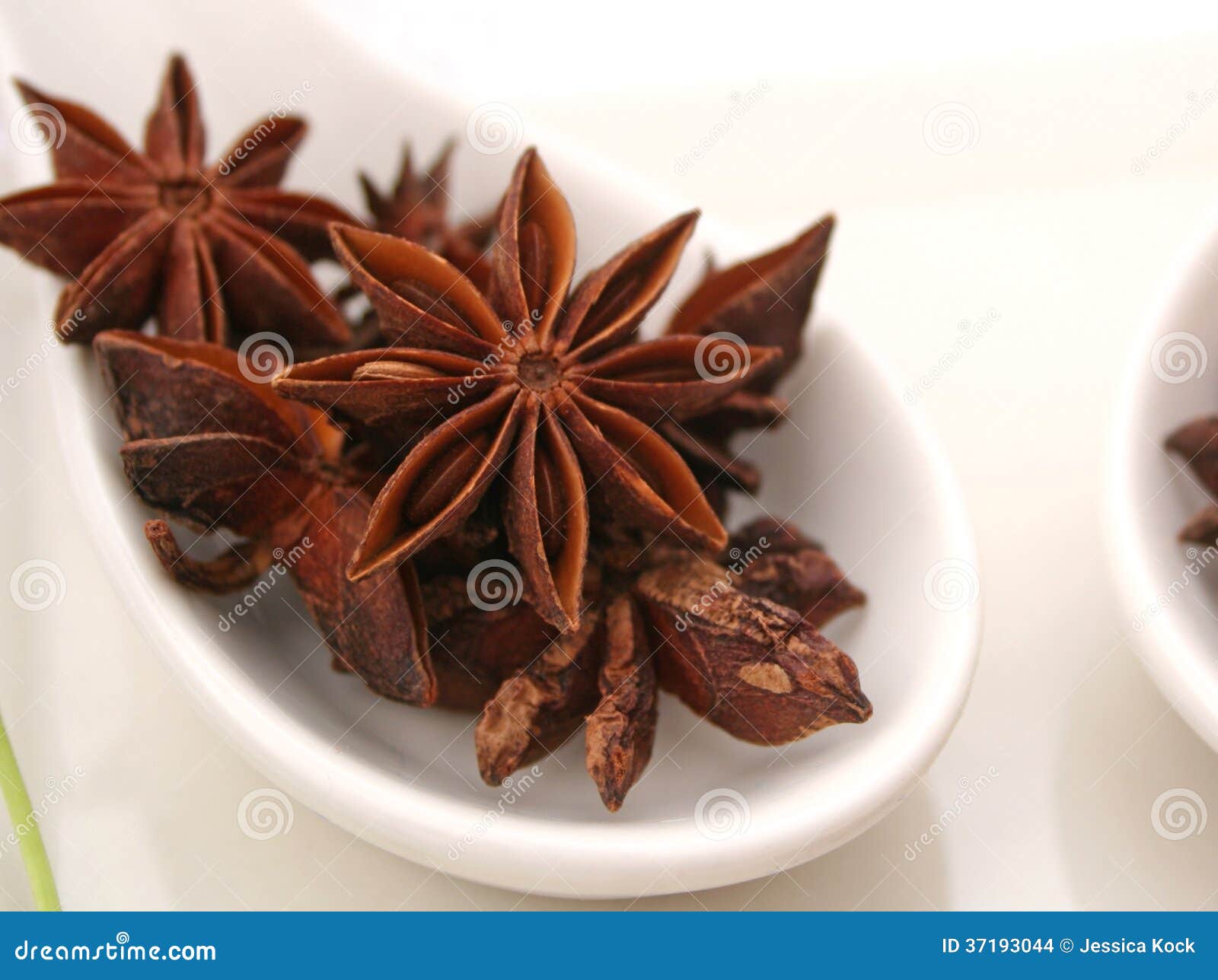 Star anis stock photo. Image of spicy, cooking, christmas - 37193044