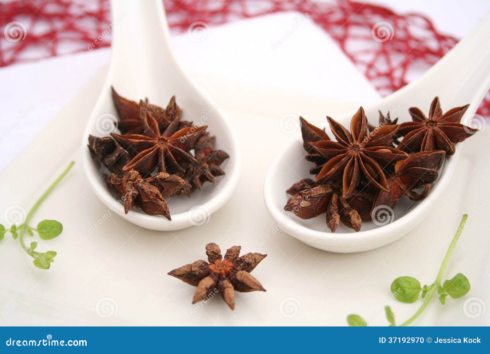 Star anis stock photo. Image of christmas, spices, staranis - 37192970