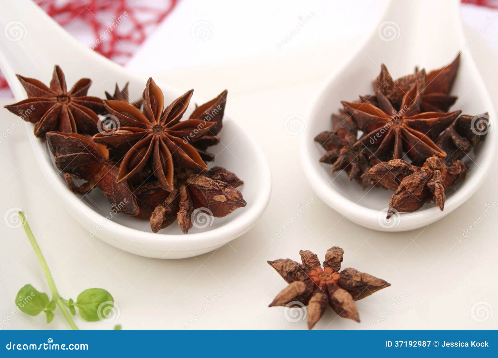 Star anis stock image. Image of staranis, food, star - 37192987