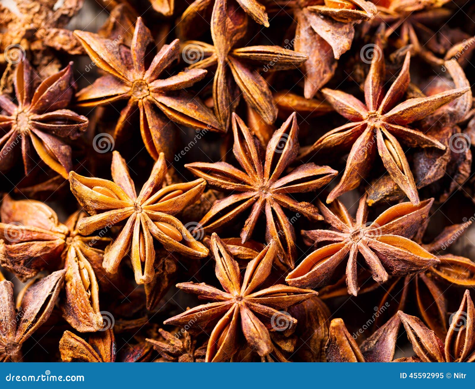 Star anise stock image. Image of closeup, gourmet, herb - 45592995