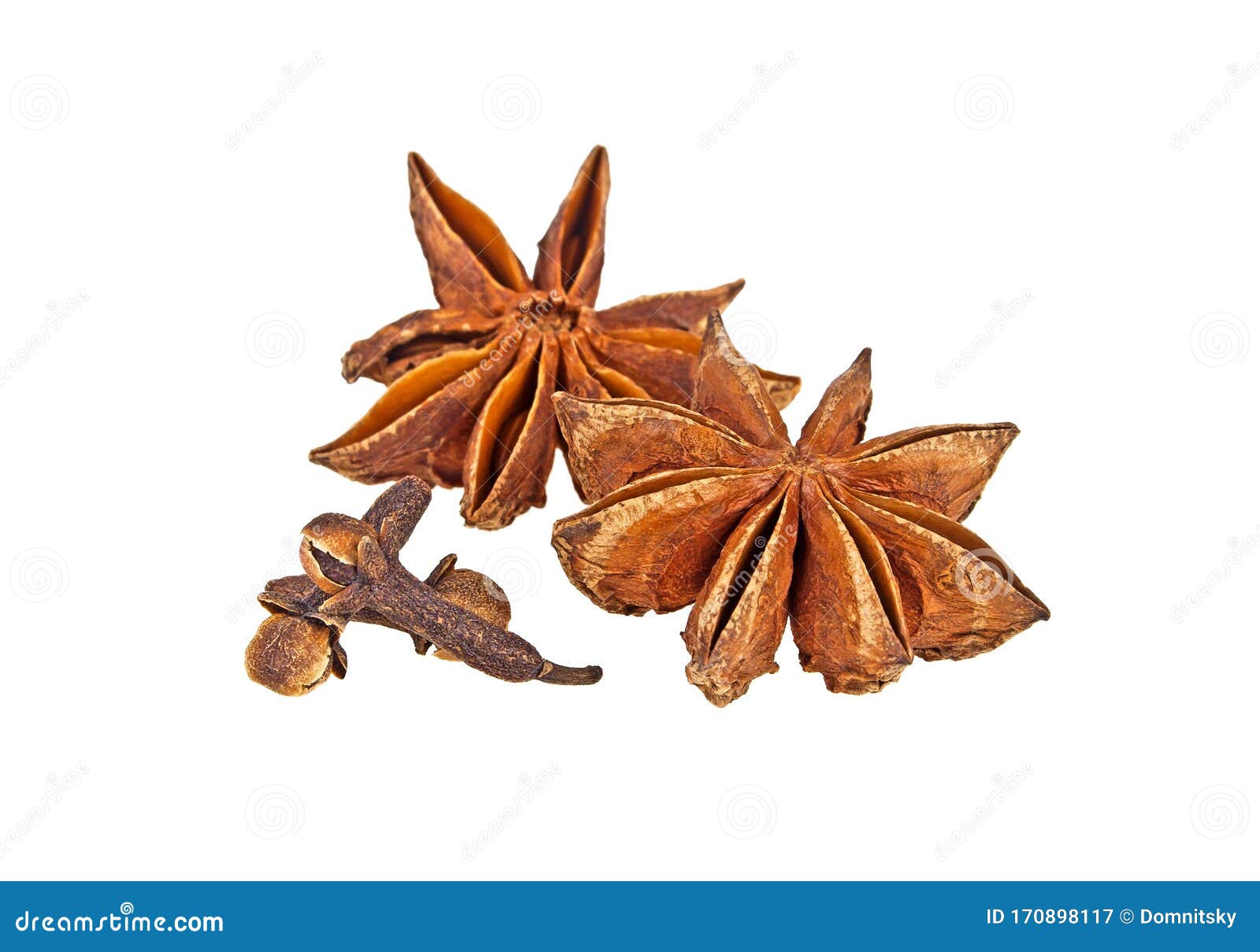 Star Anise and Cloves Isolated on White Background, Spices Stock Image ...