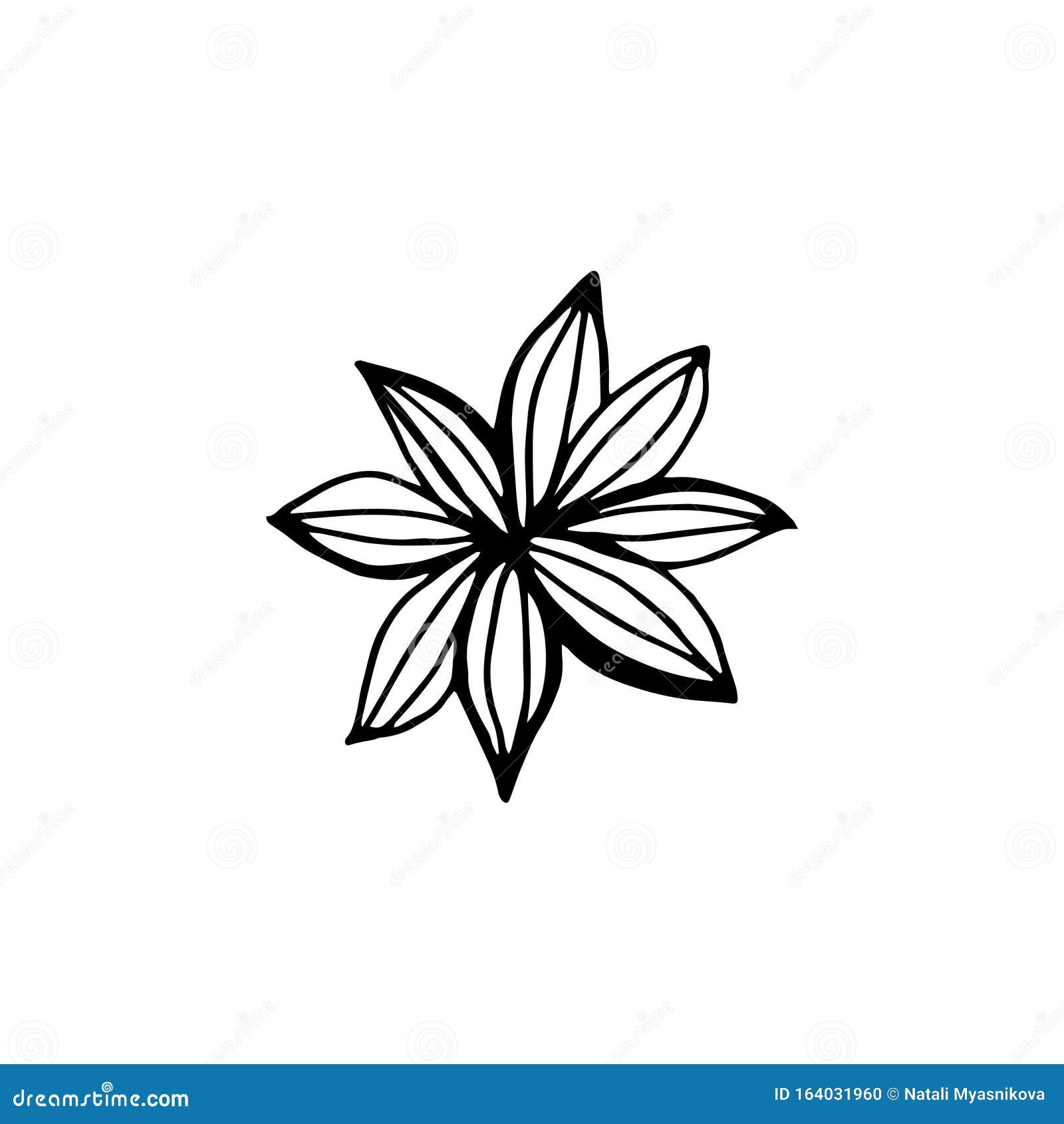 Star Anise Illustration Hand Draw Vector. Winter Spices. Stock Vector ...