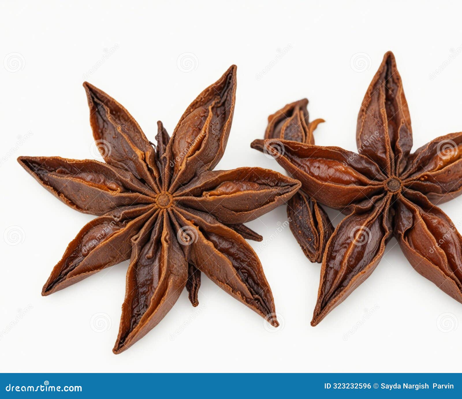 Star Anise, Isolated on White Background Stock Illustration ...