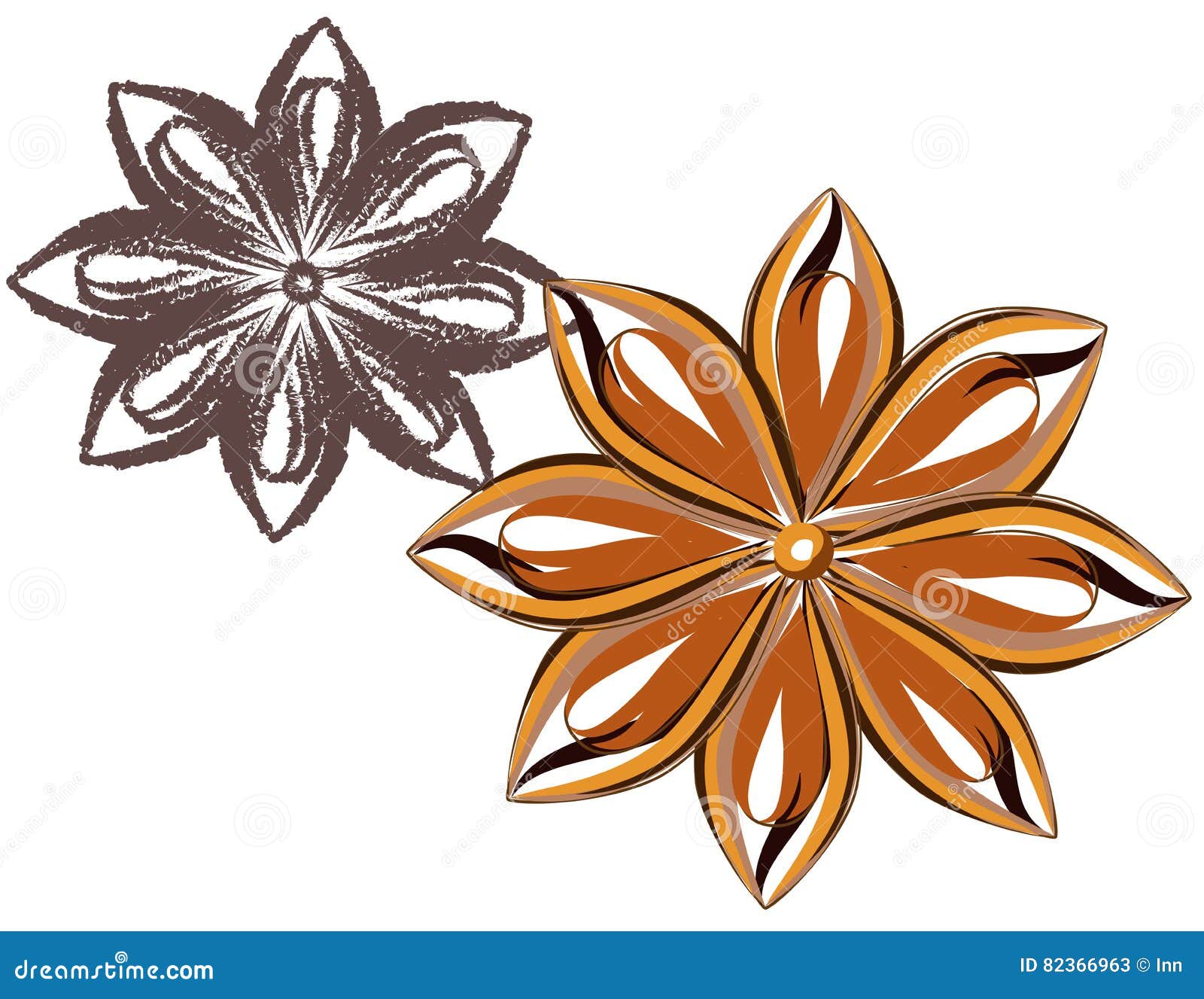 Star Anise Isolated on White Vector Stock Vector - Illustration of ...