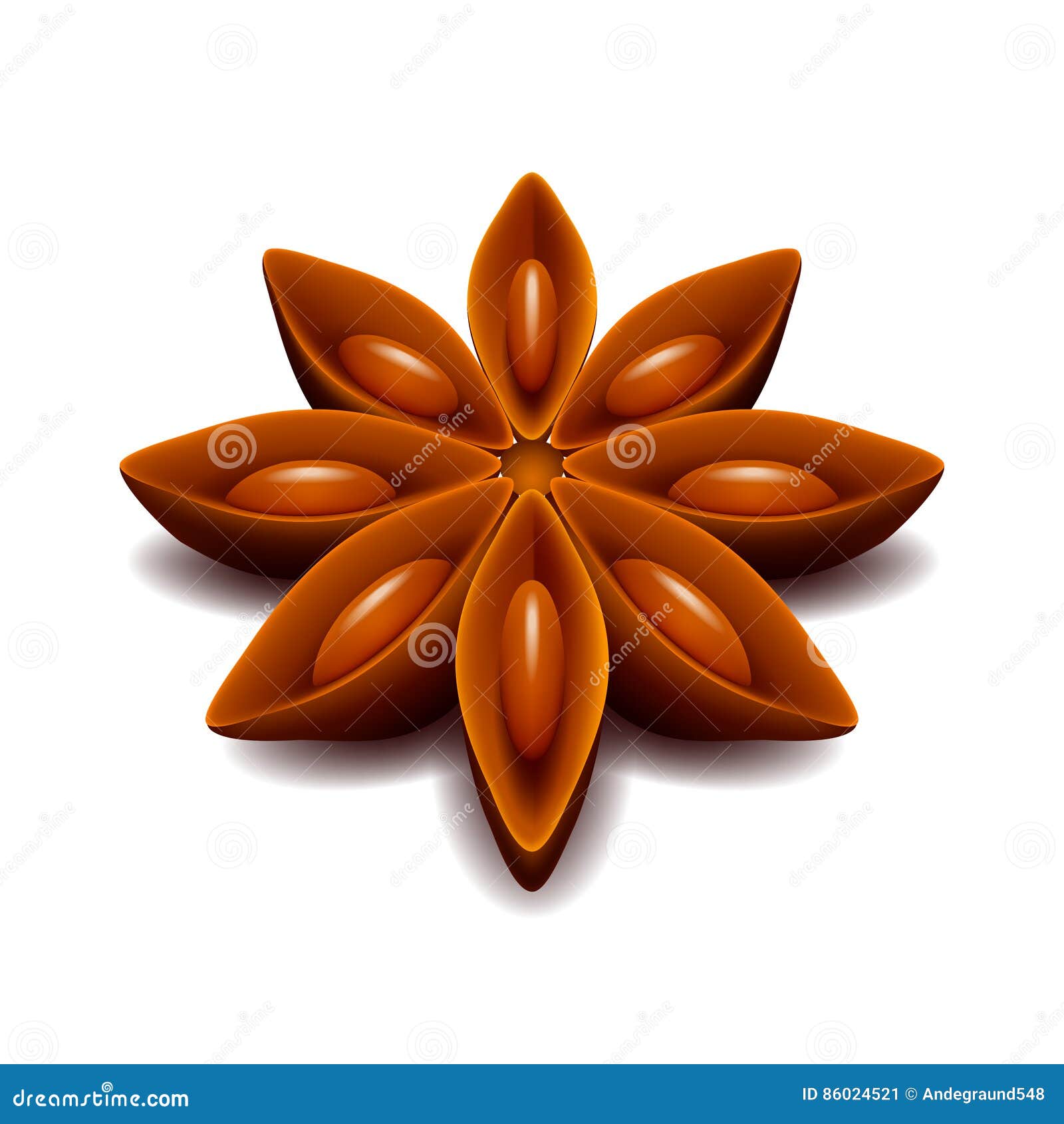 Star Anise Isolated on White Vector Stock Vector - Illustration of diet ...