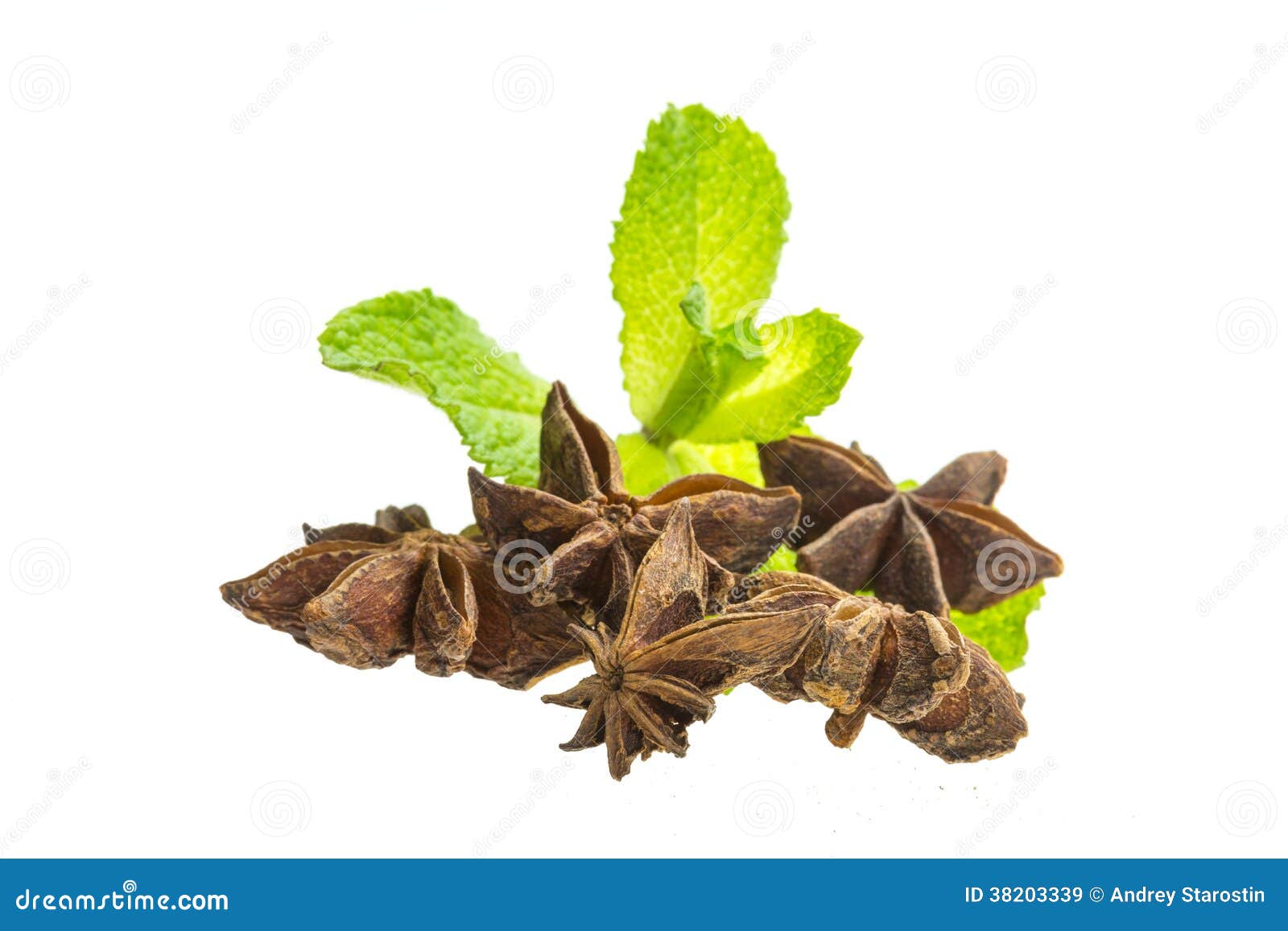 Star Anise and Mint stock image. Image of green, food - 38203339