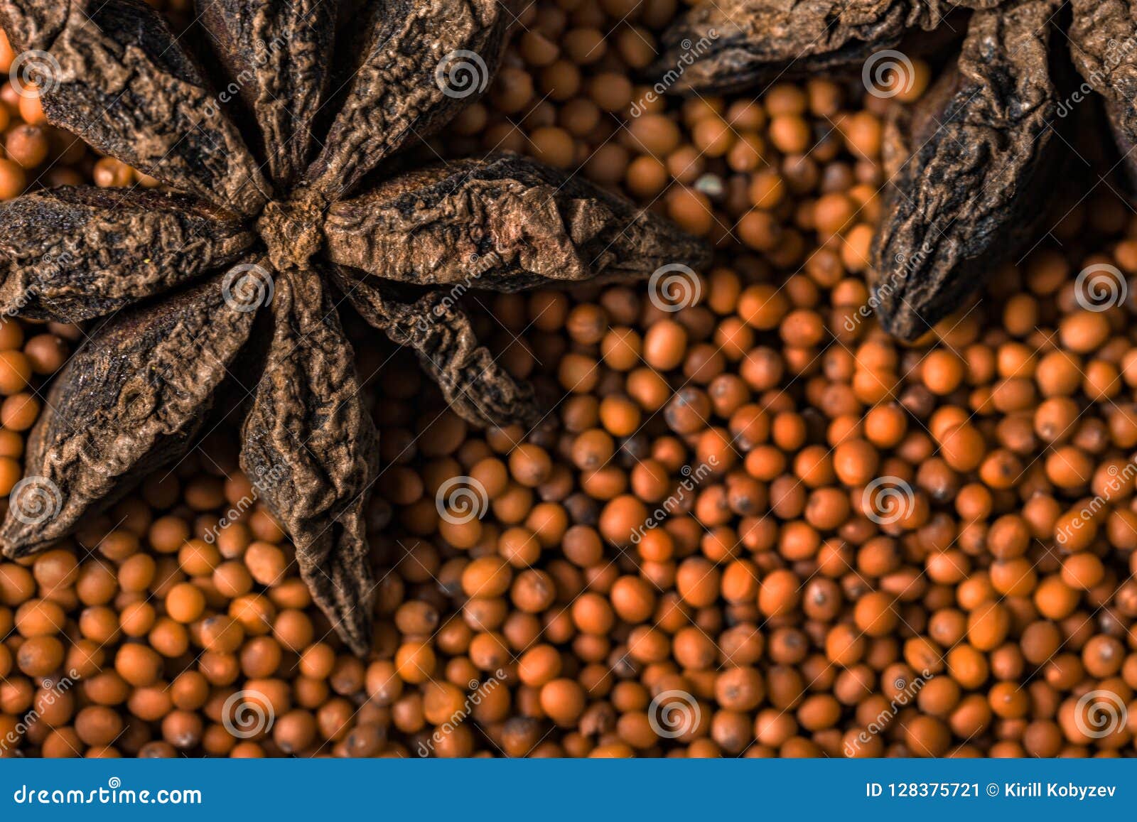 Star Anise and Mustard Seeds Stock Image - Image of cuisine, medical ...