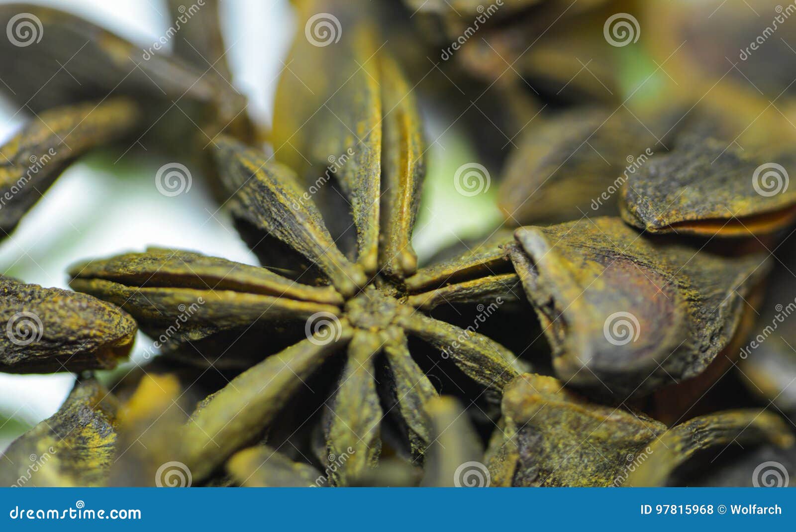 Star anise stock photo. Image of yellow, tree, true, star - 97815968