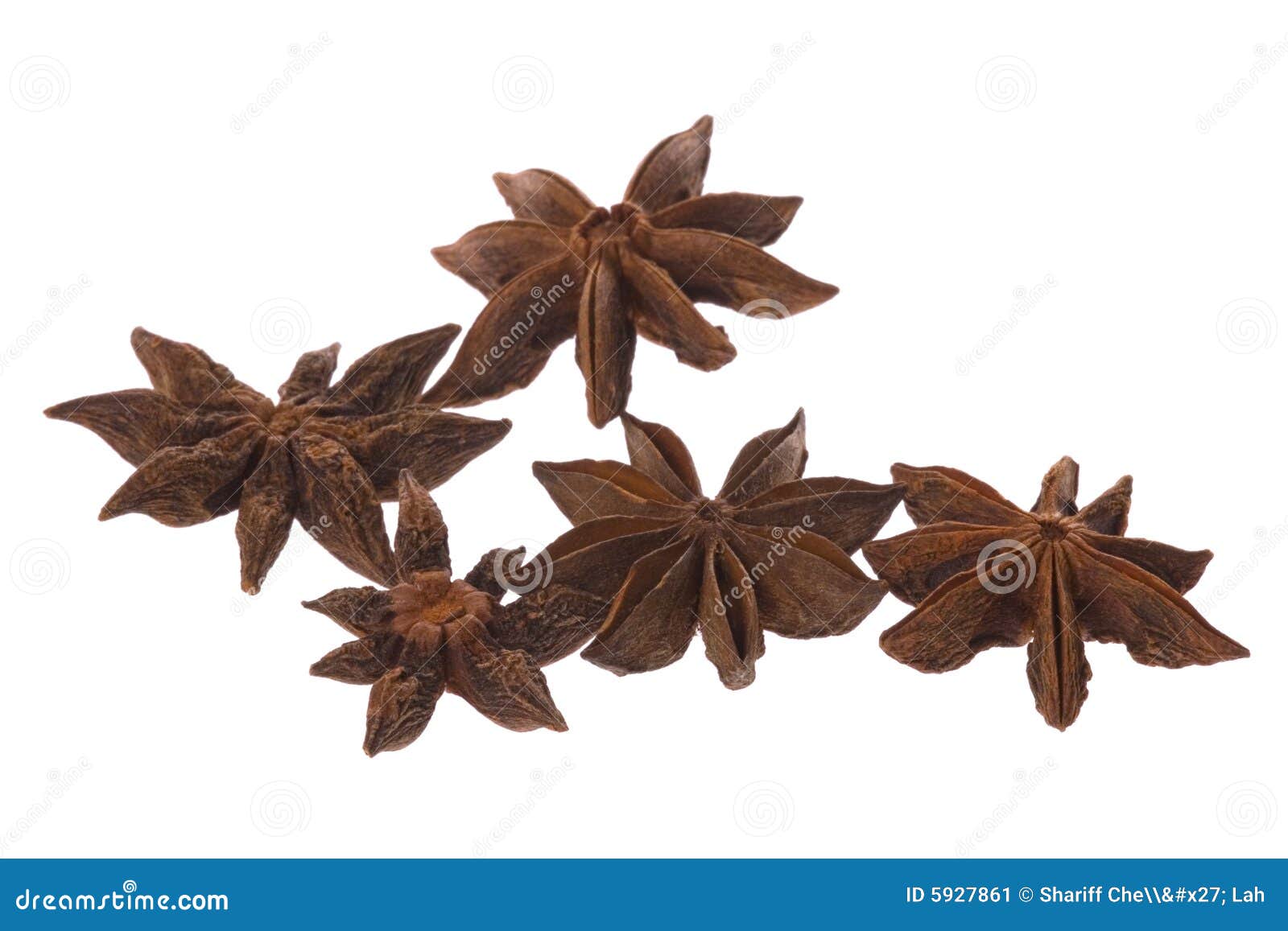 Star anise spice stock image. Image of medicinal, ingredients - 5927861