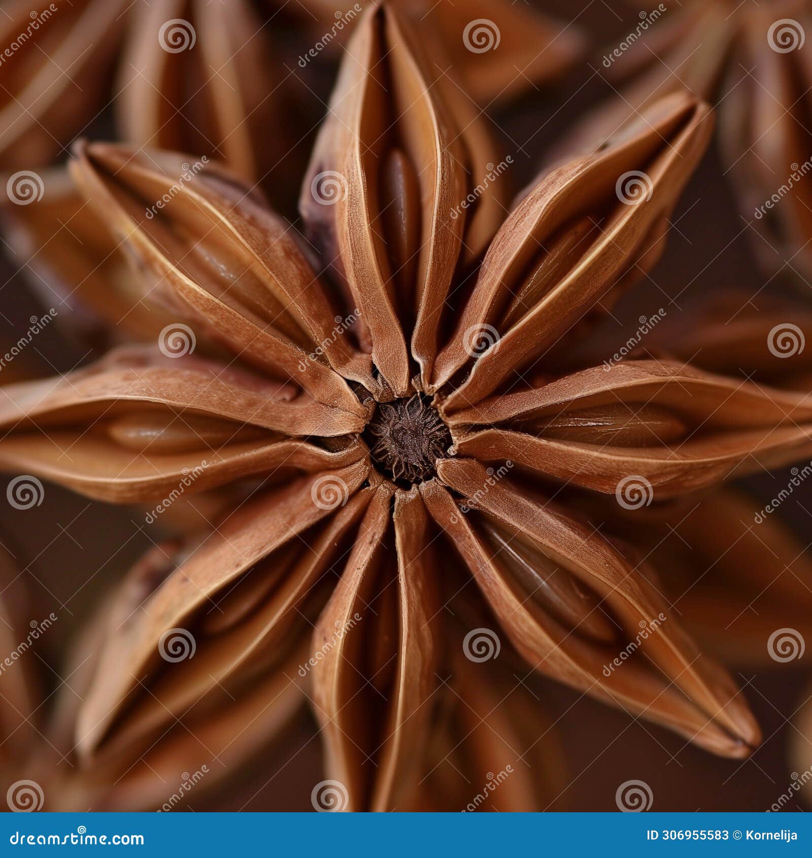Close Up Aniseed On Wood Table Royalty-Free Stock Photo | CartoonDealer ...