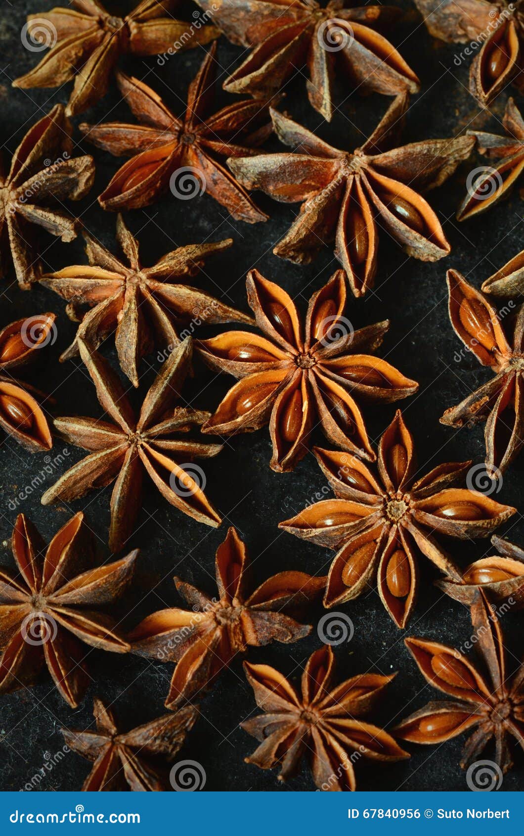 Star anise spice stock photo. Image of flavor, symmetry - 67840956