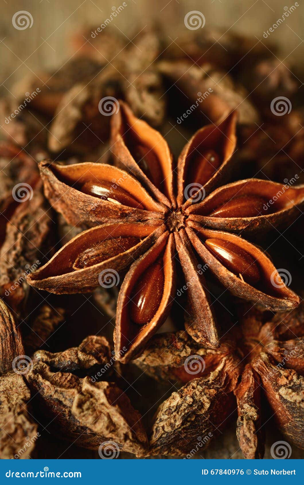 Star anise spice stock photo. Image of flower, plant - 67840976