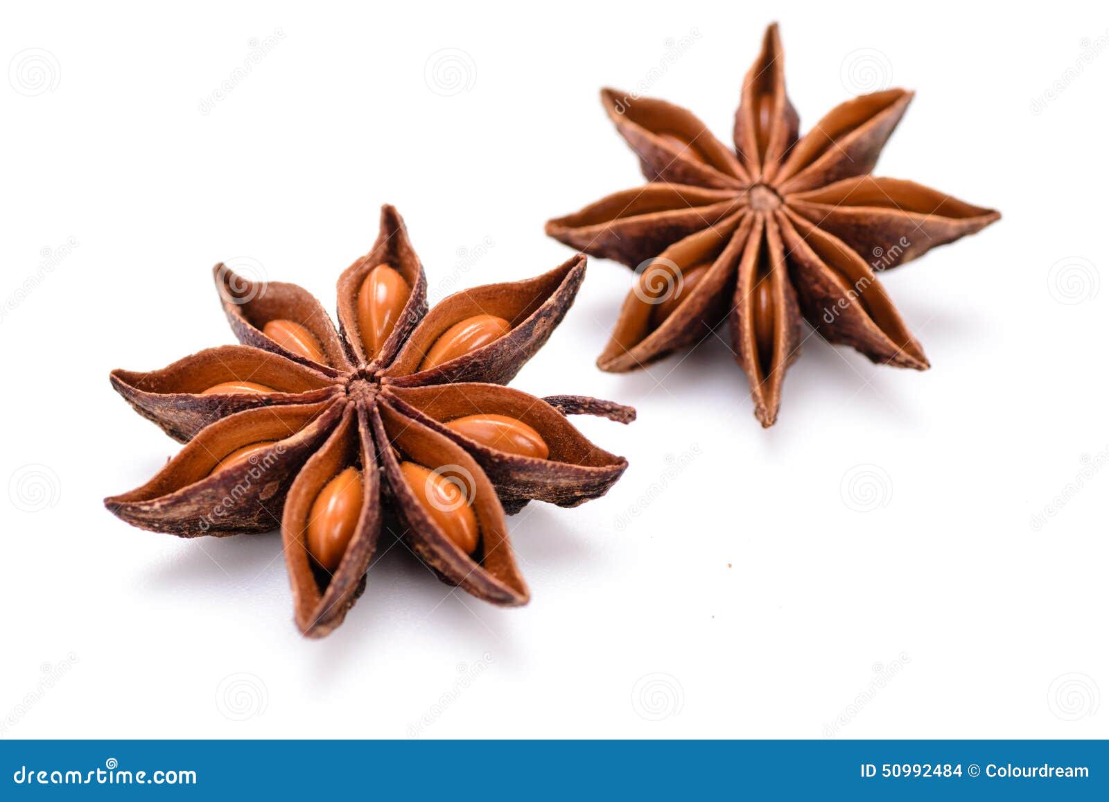 Anise Star Spice. Aniseed Thigh Latin Pimpin Lla An Sum , Is An Annual ...