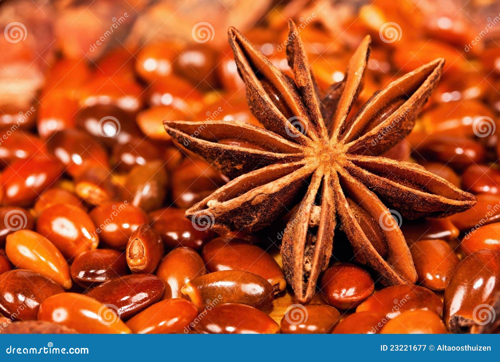 Star Aniseed with Lots of Seeds Around it Stock Image - Image of flavor ...