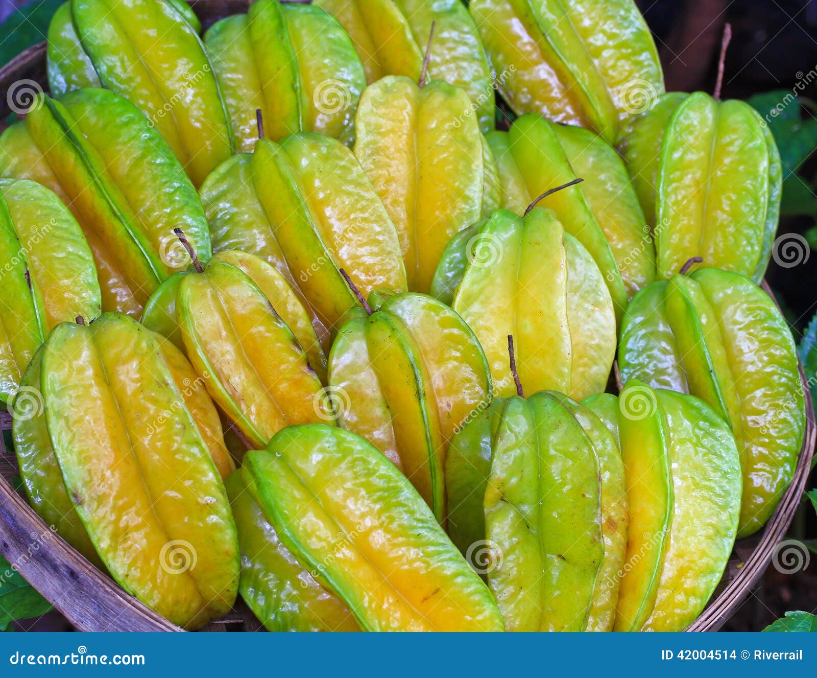Star apple fruit stock photo. Image of apple, melon, isolated - 42004514