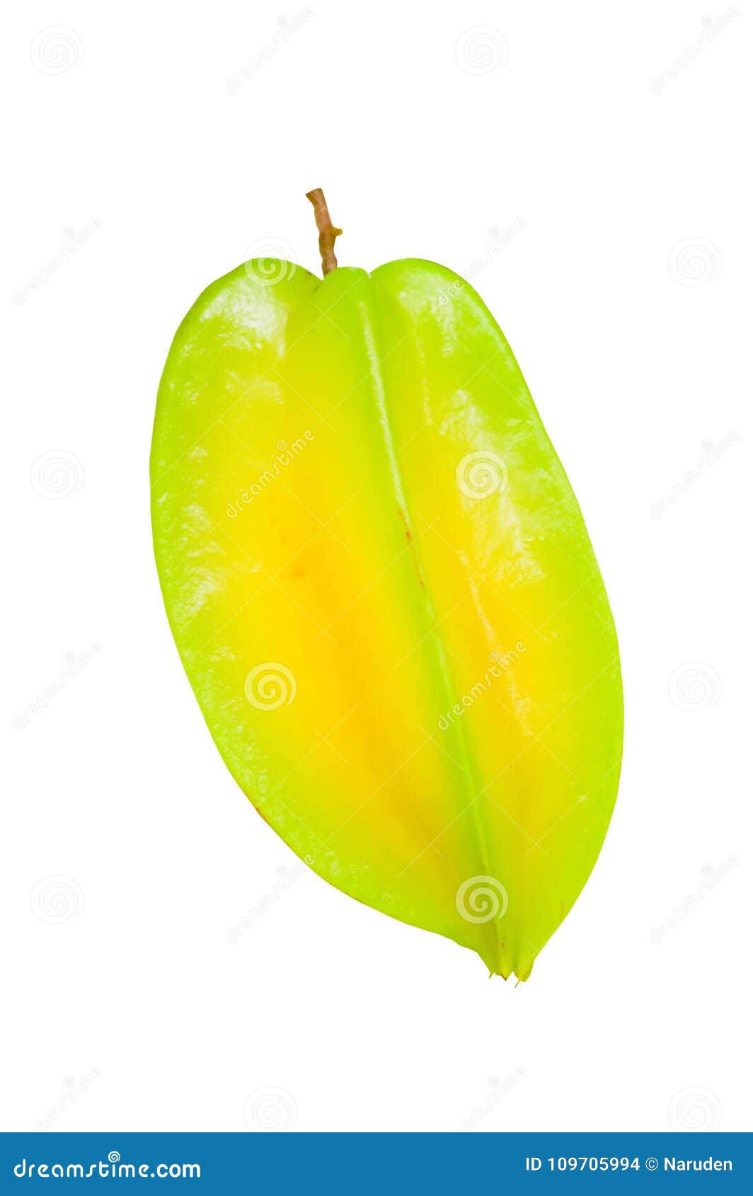 Star apple isolated stock photo. Image of star, starfruit - 109705994