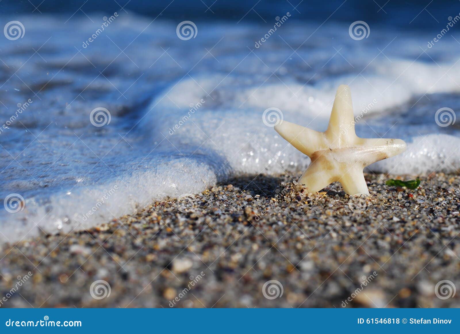 The star on the beach stock photo. Image of blue, island - 61546818
