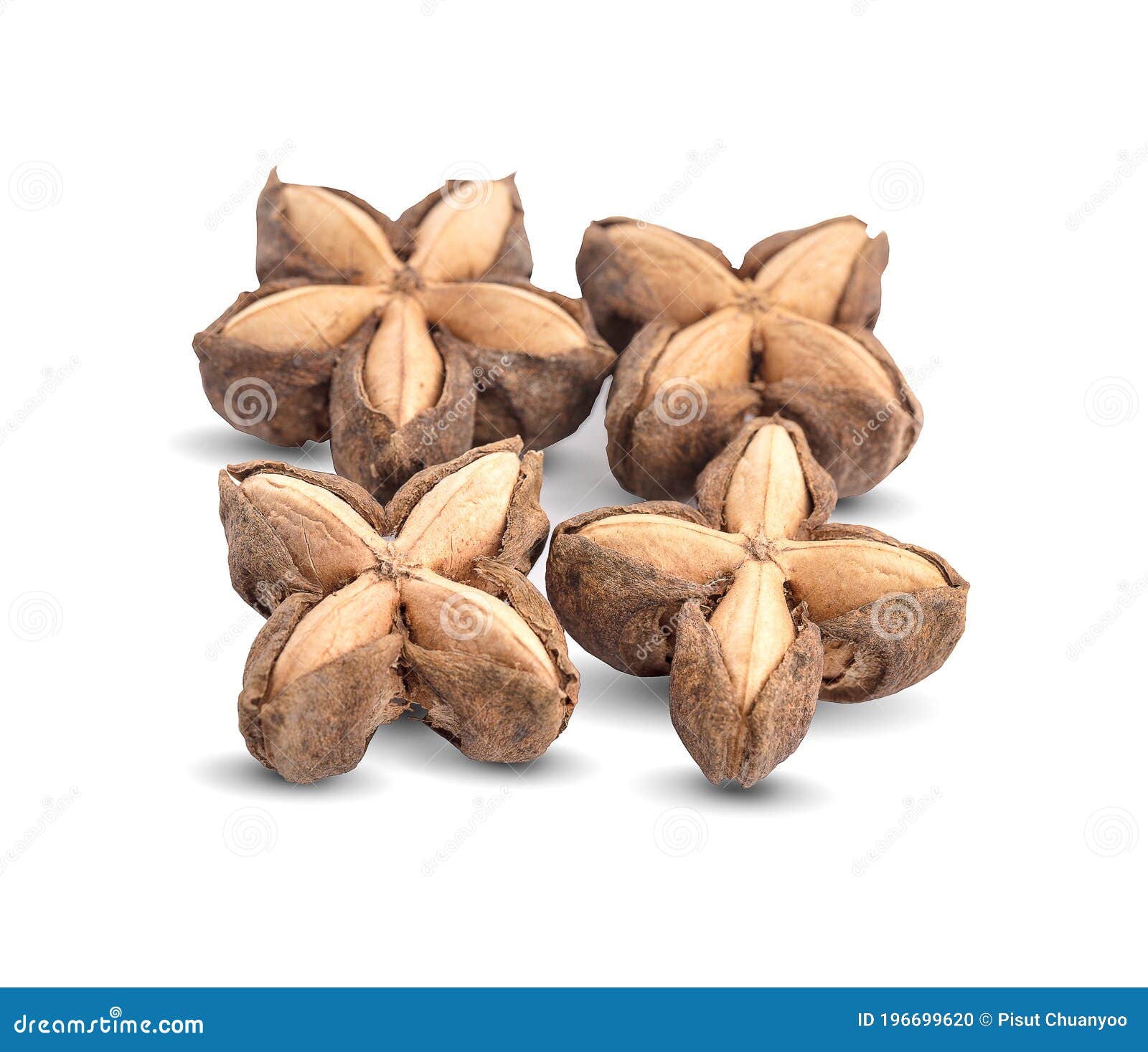 Star Bean Inca Isolate on White Background Stock Photo - Image of incas ...