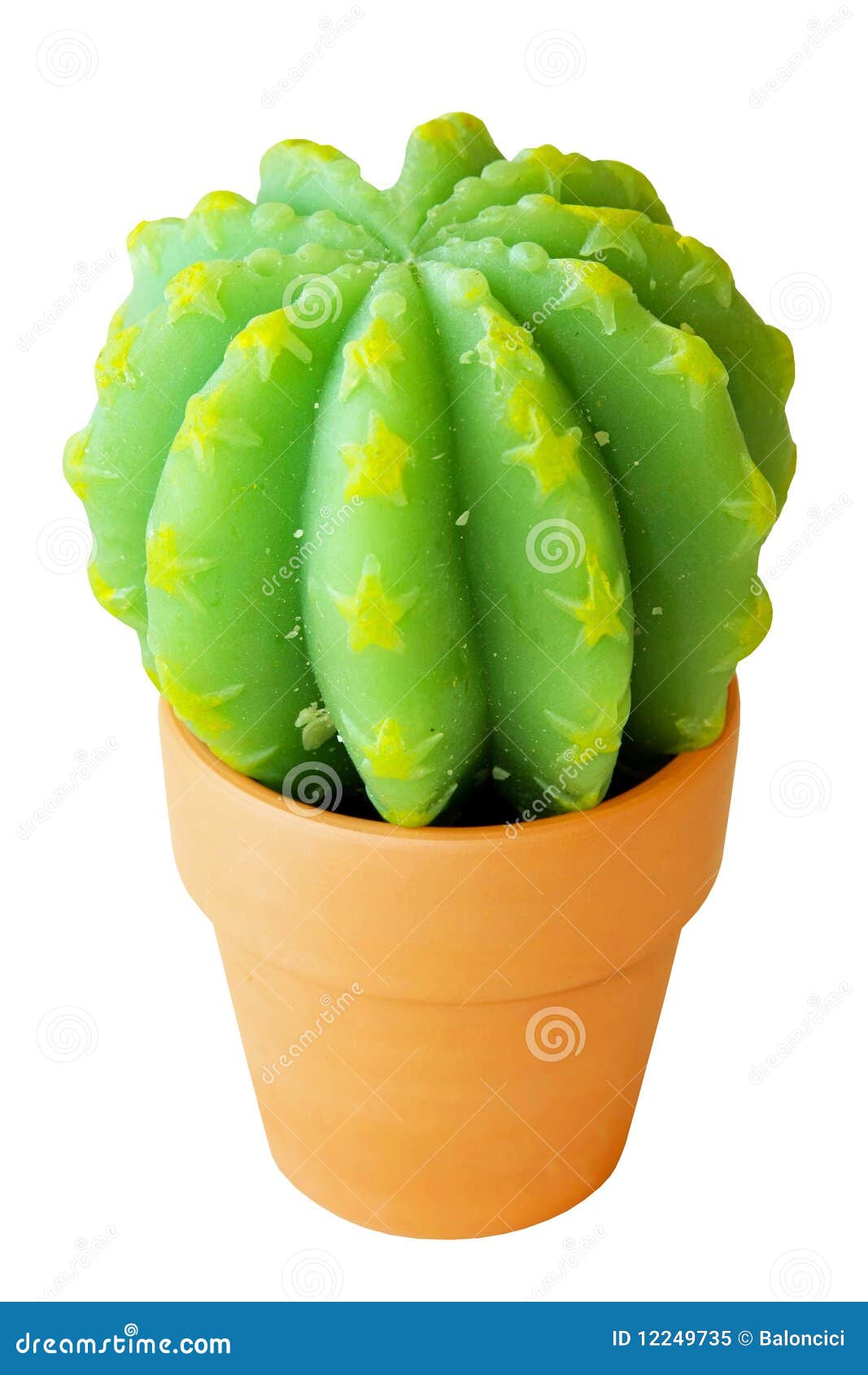 Star cactus stock image. Image of leaves, isolated, leaf - 12249735