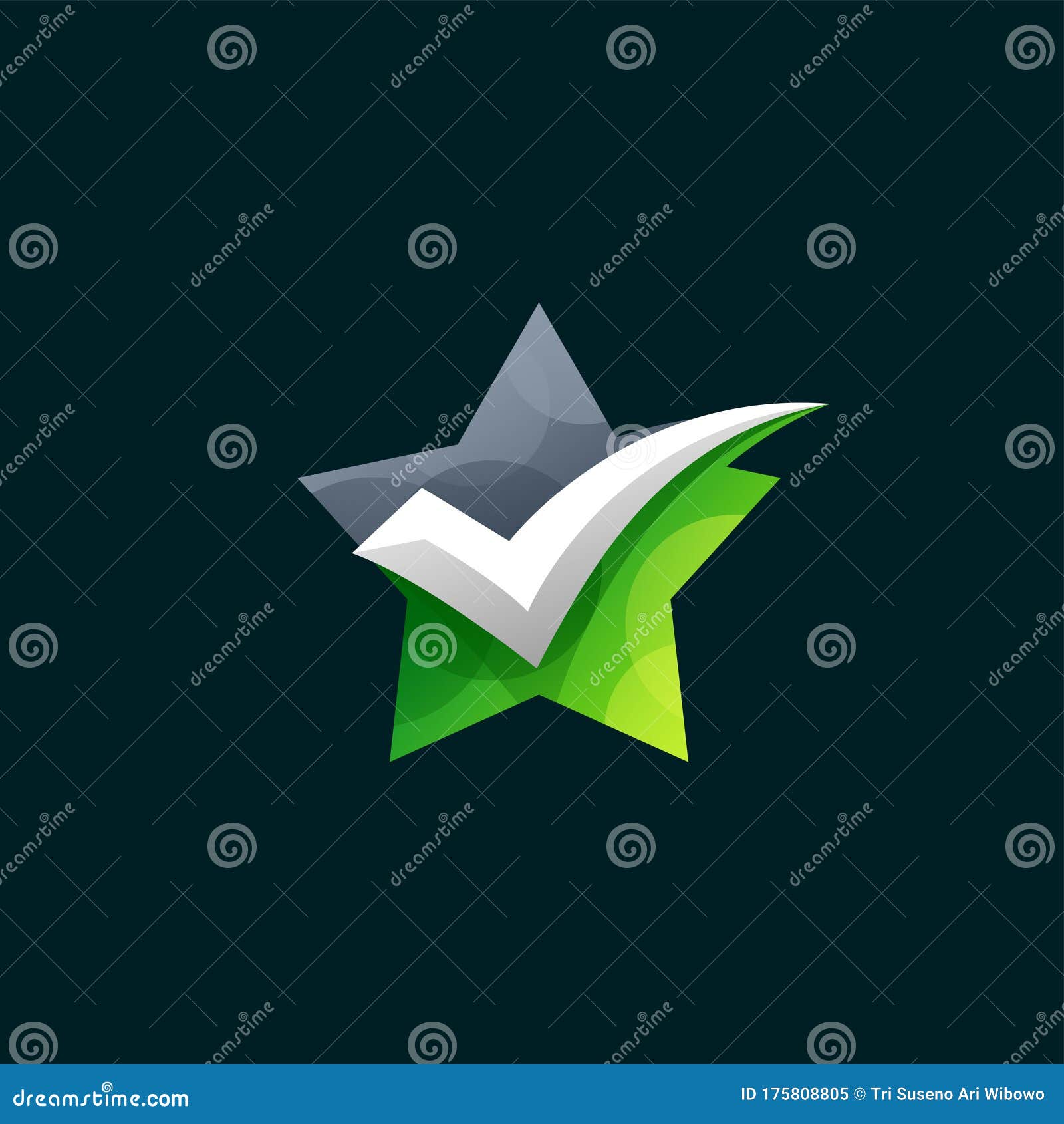Star Check Logo Design Vector Illustrations Stock Illustration ...