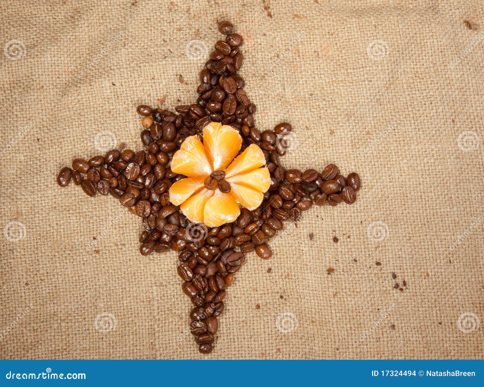 Star from coffee beans stock photo. Image of addiction - 17324494