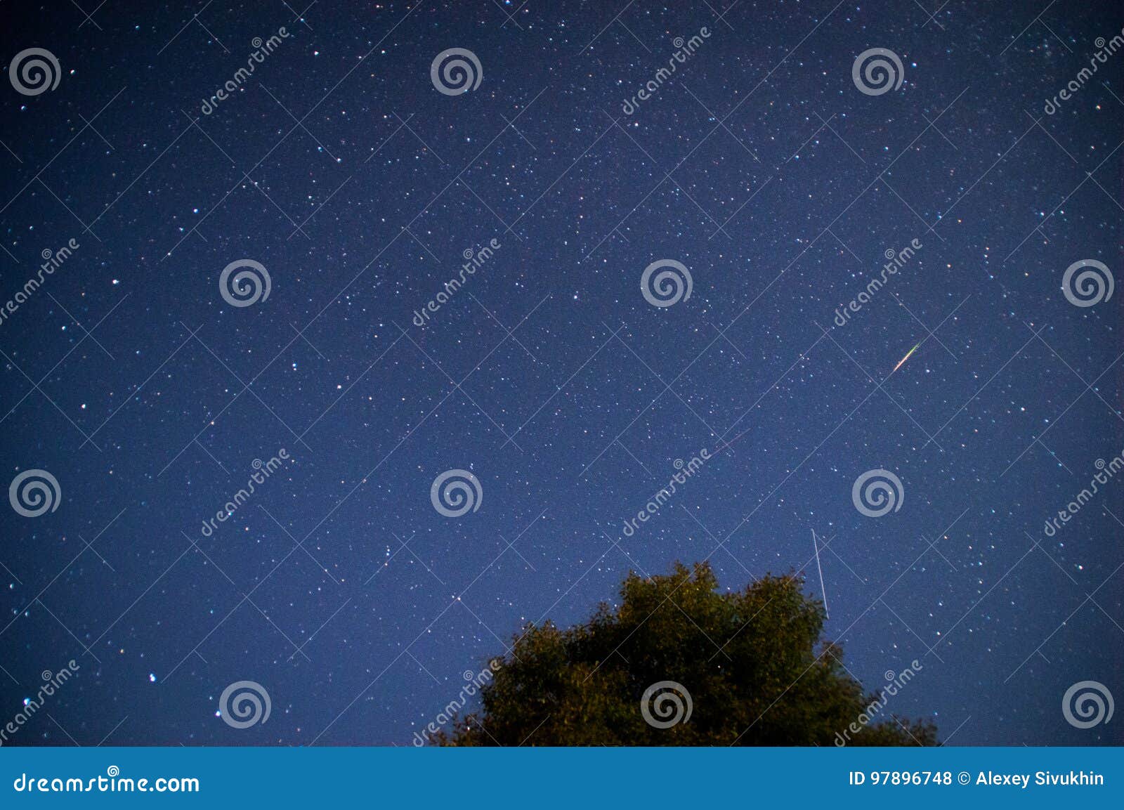 Star Fall Special Capturing Way Which is Making Starfall All Around the ...