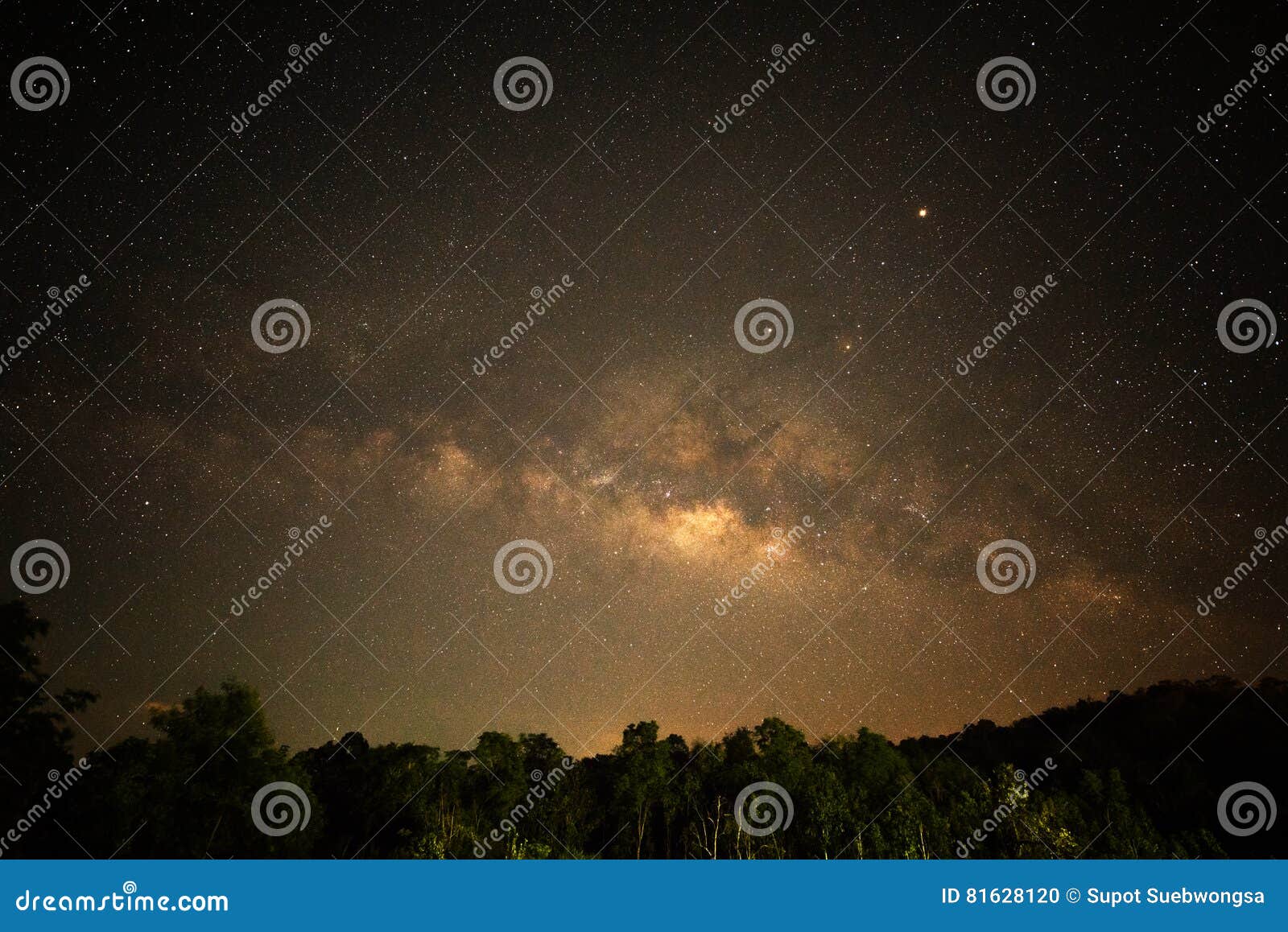 Star Field Over Forest at Night Stock Photo - Image of trees, town ...