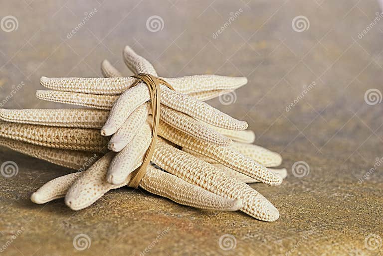 Star fish stock image. Image of stack, marine, starfish - 12905841