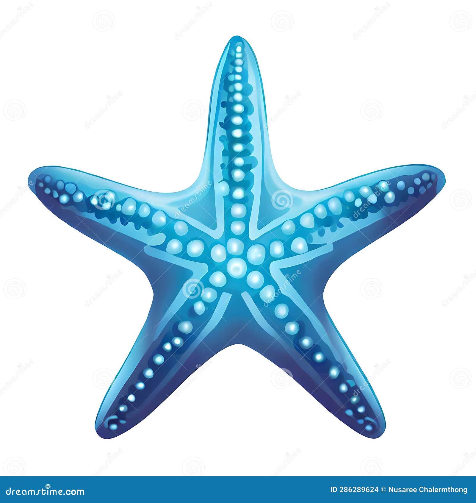 Star Fish Vector Illustration Stock Illustration - Illustration of blue ...