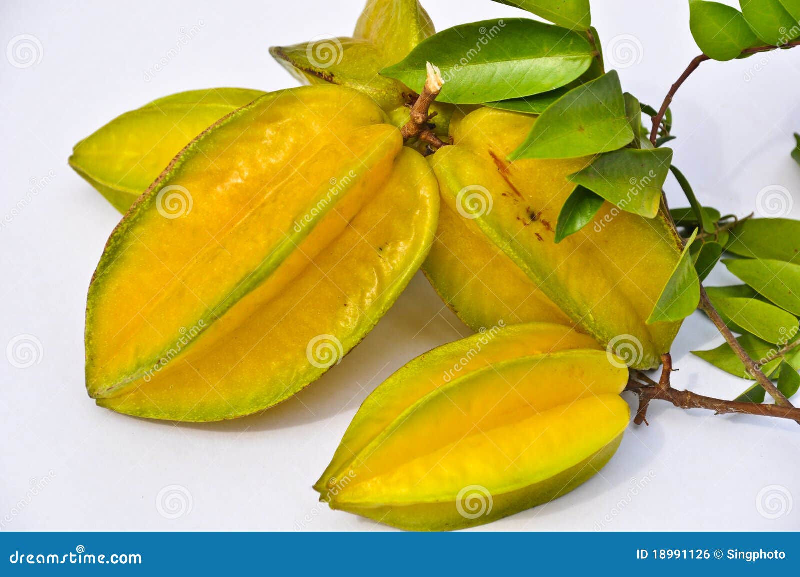 Star fruit stock photo. Image of milk, asia, branch, leaf - 18991126