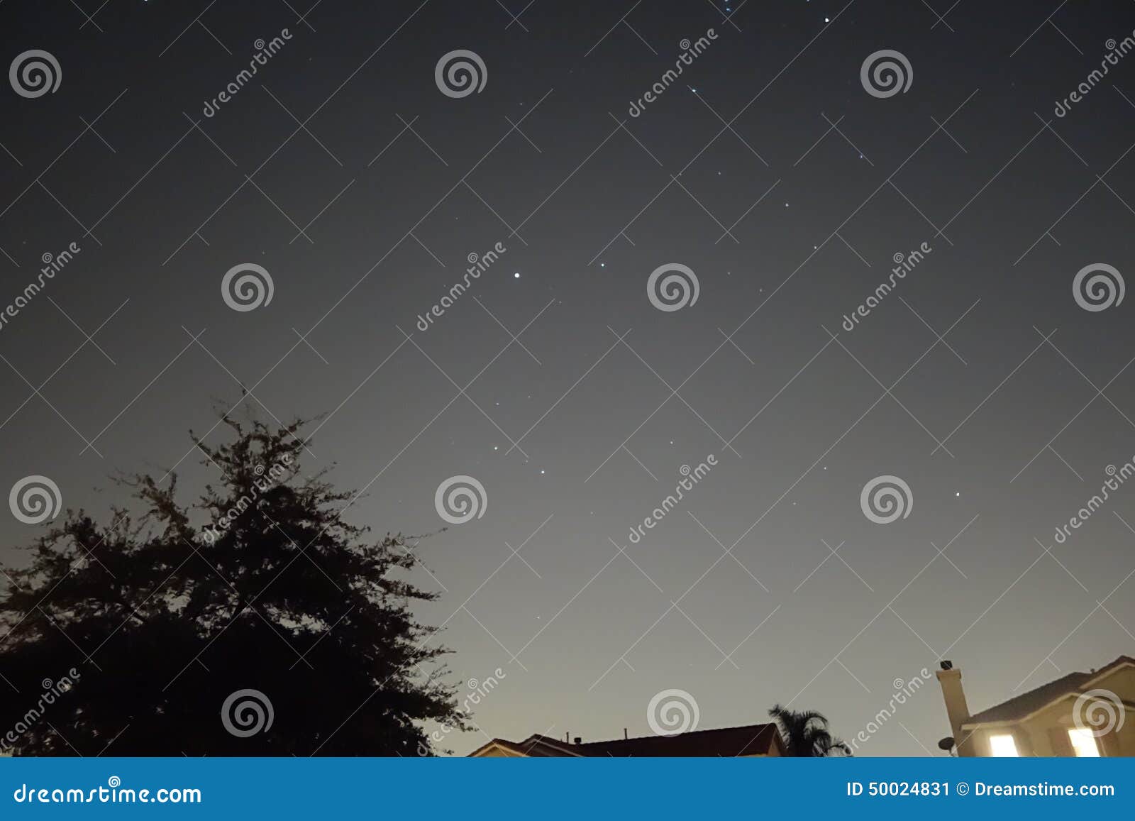 Star Gazing stock image. Image of star, gazing, staring - 50024831