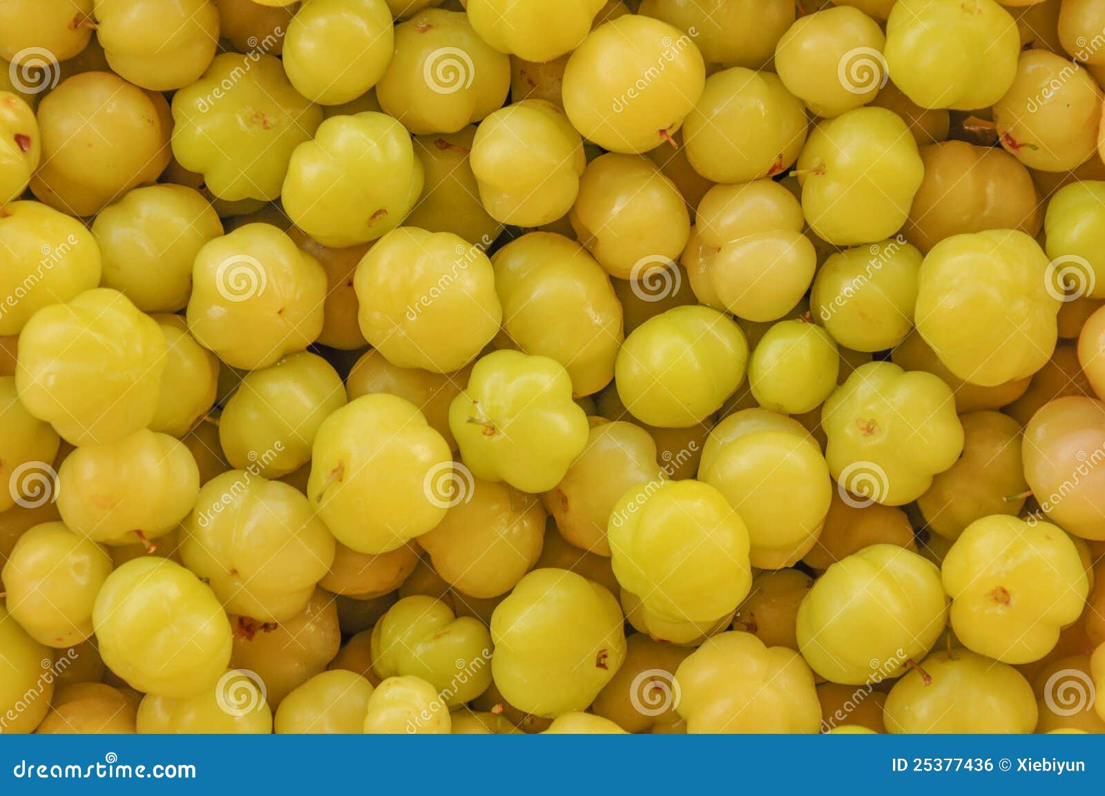 Star gooseberry stock photo. Image of natural, fresh - 25377436