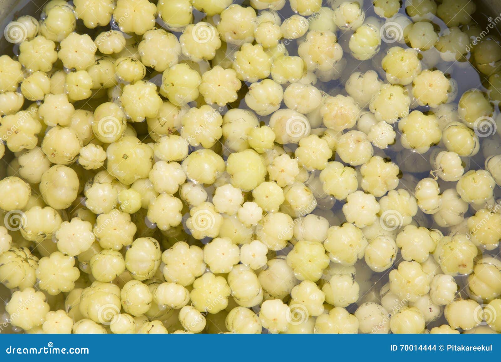 Star Gooseberry in Water Wash for Clean. Stock Photo - Image of clean ...