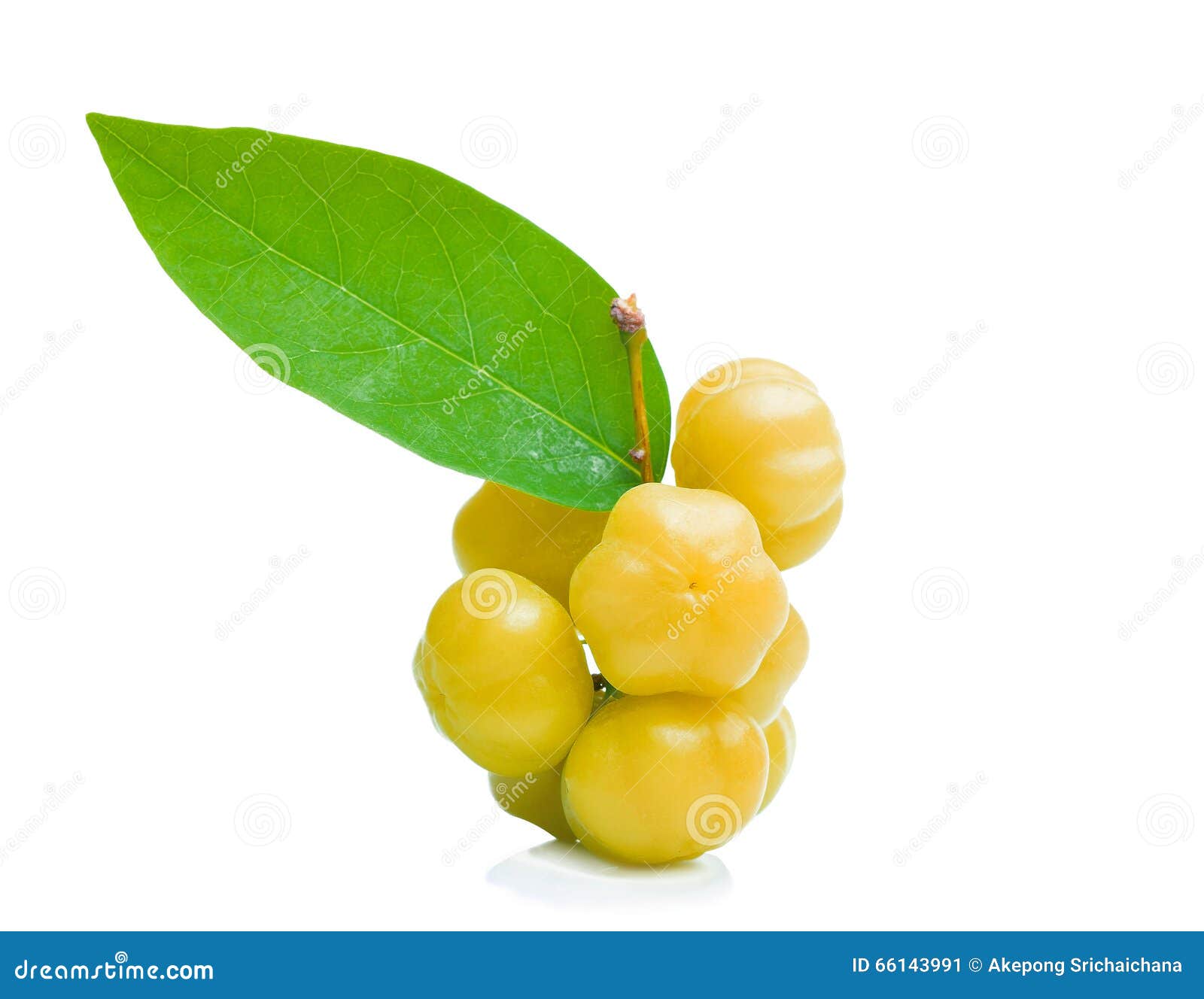 Star Gooseberry on White Background Stock Image - Image of full, detail ...