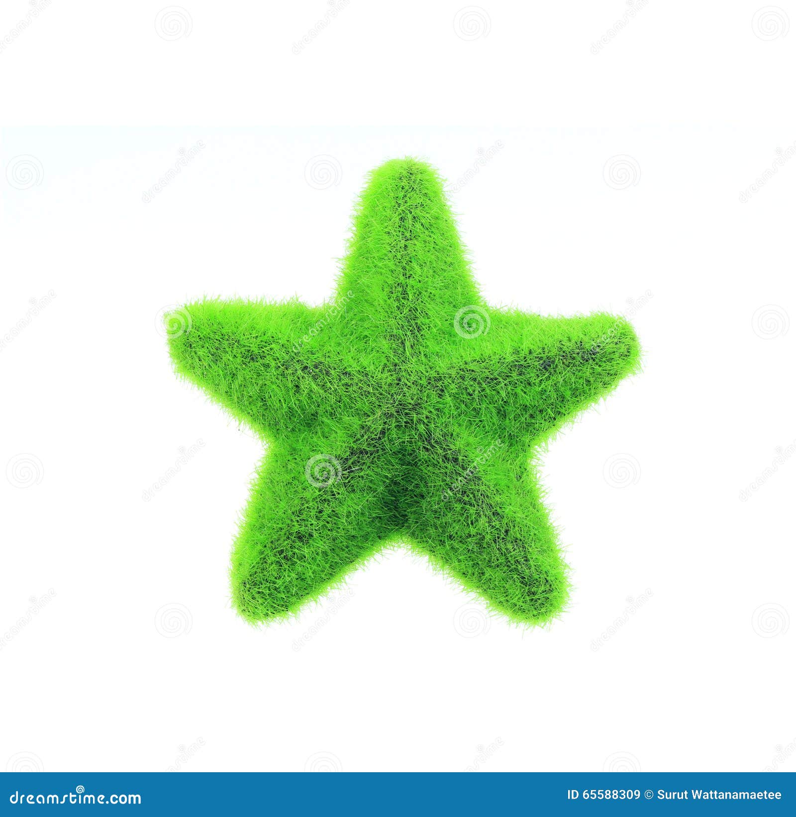Star from Grass Isolated on White Stock Image - Image of green, field ...